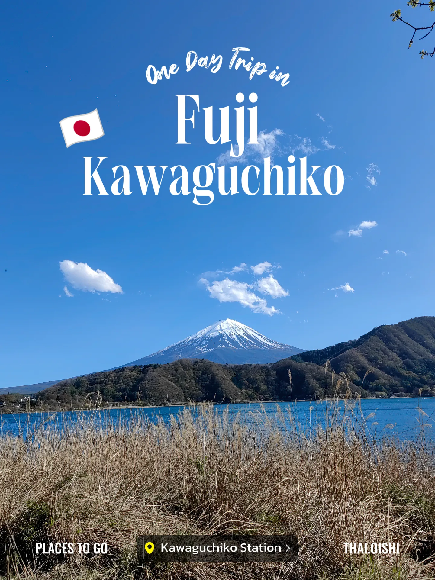 🎌วันเดย์ทริป in Fuji Kawaguchiko 🚴 | แกลเลอรีที่โพสต์โดย thai.oishi | Lemon8