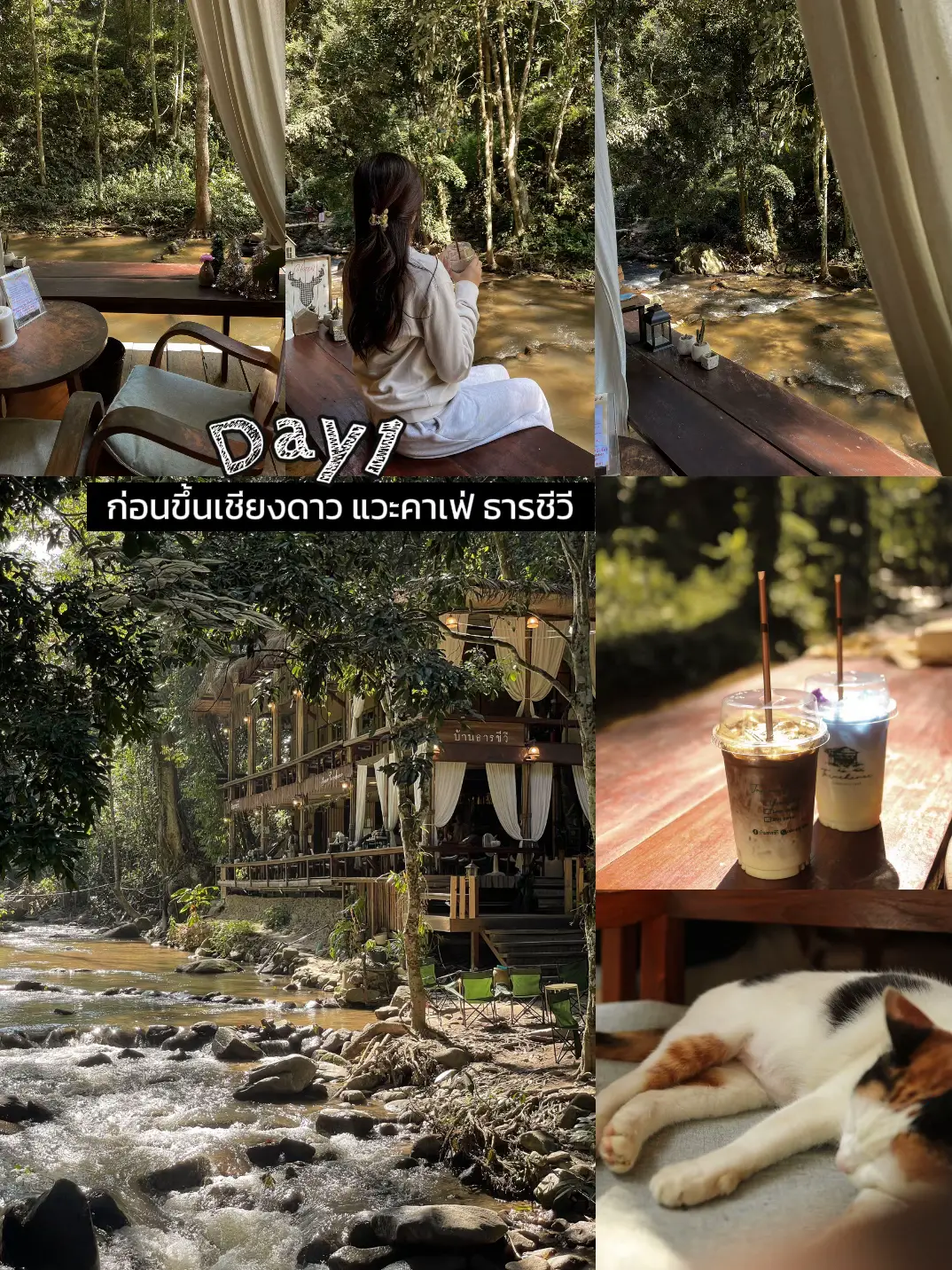 แจกพิกัดเที่ยวเชียงใหม่ ฉบับคนรักธรรมชาติ | วิดีโอที่เผยแพร่โดย Anusara | Lemon8