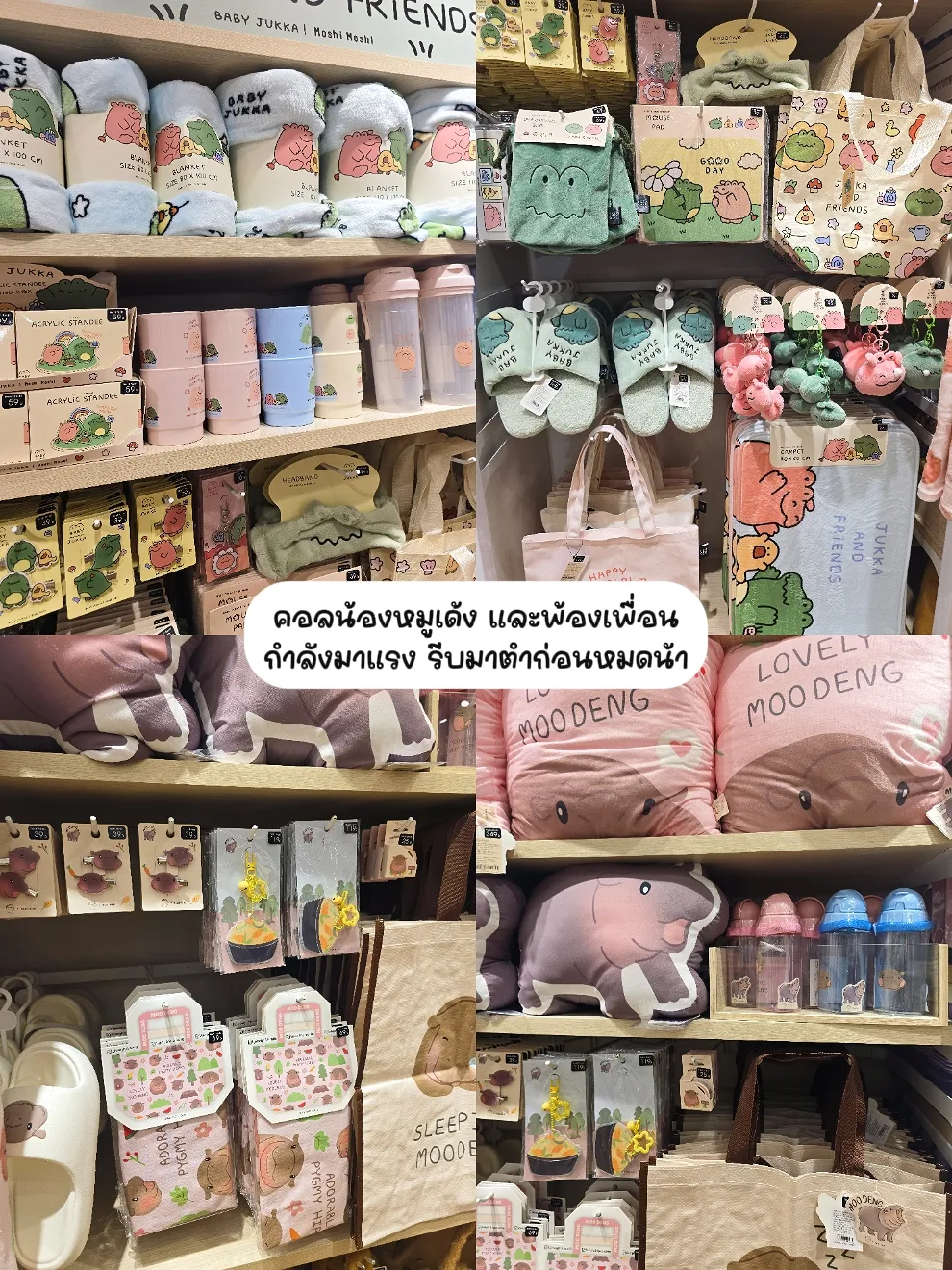 พาส่อง 4 Collections สุดคิ้วท์ น่าช้อปที่ Moshi | แกลเลอรีที่โพสต์โดย im.zaii.story | Lemon8