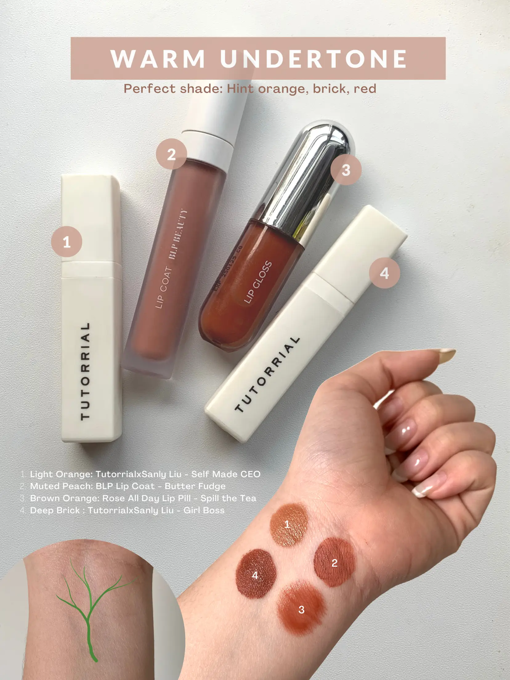 TIPS MEMILIH LIP PRODUCTS SESUAI UNDERTONES! | แกลเลอรีที่โพสต์โดย Vanessa Anthea | Lemon8