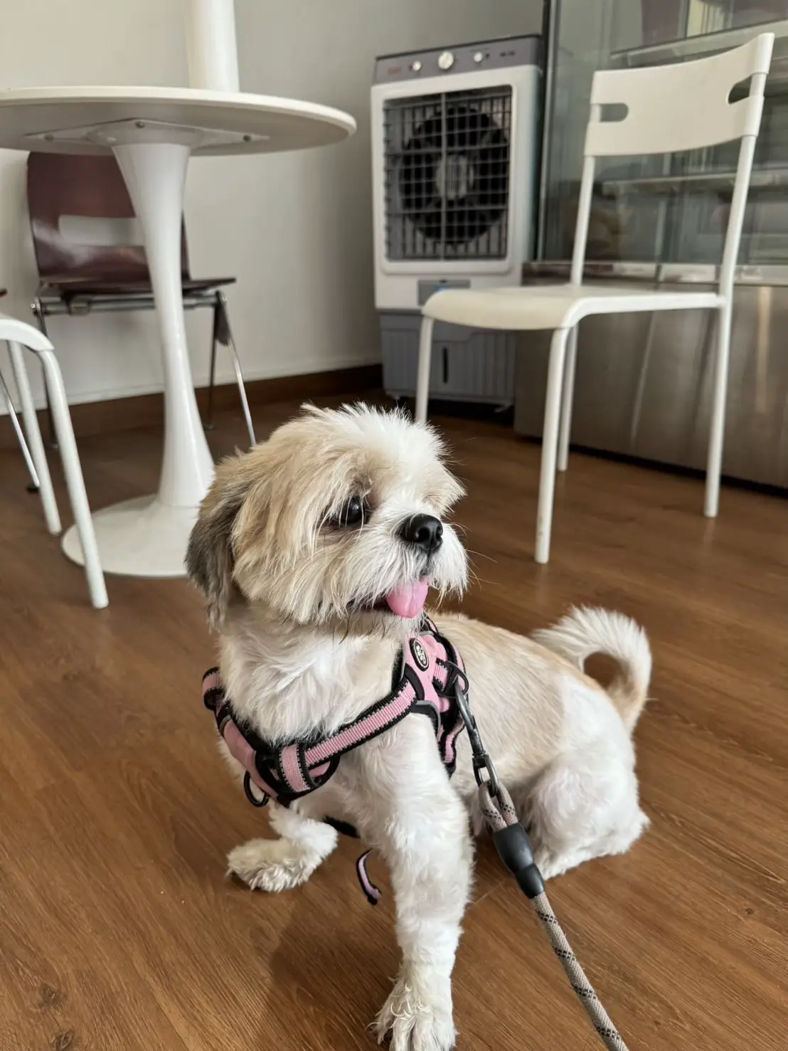 โสมนัส Sommanus Pattaya | แกลเลอรีที่โพสต์โดย พูดไปเลื่อย🤪 | Lemon8