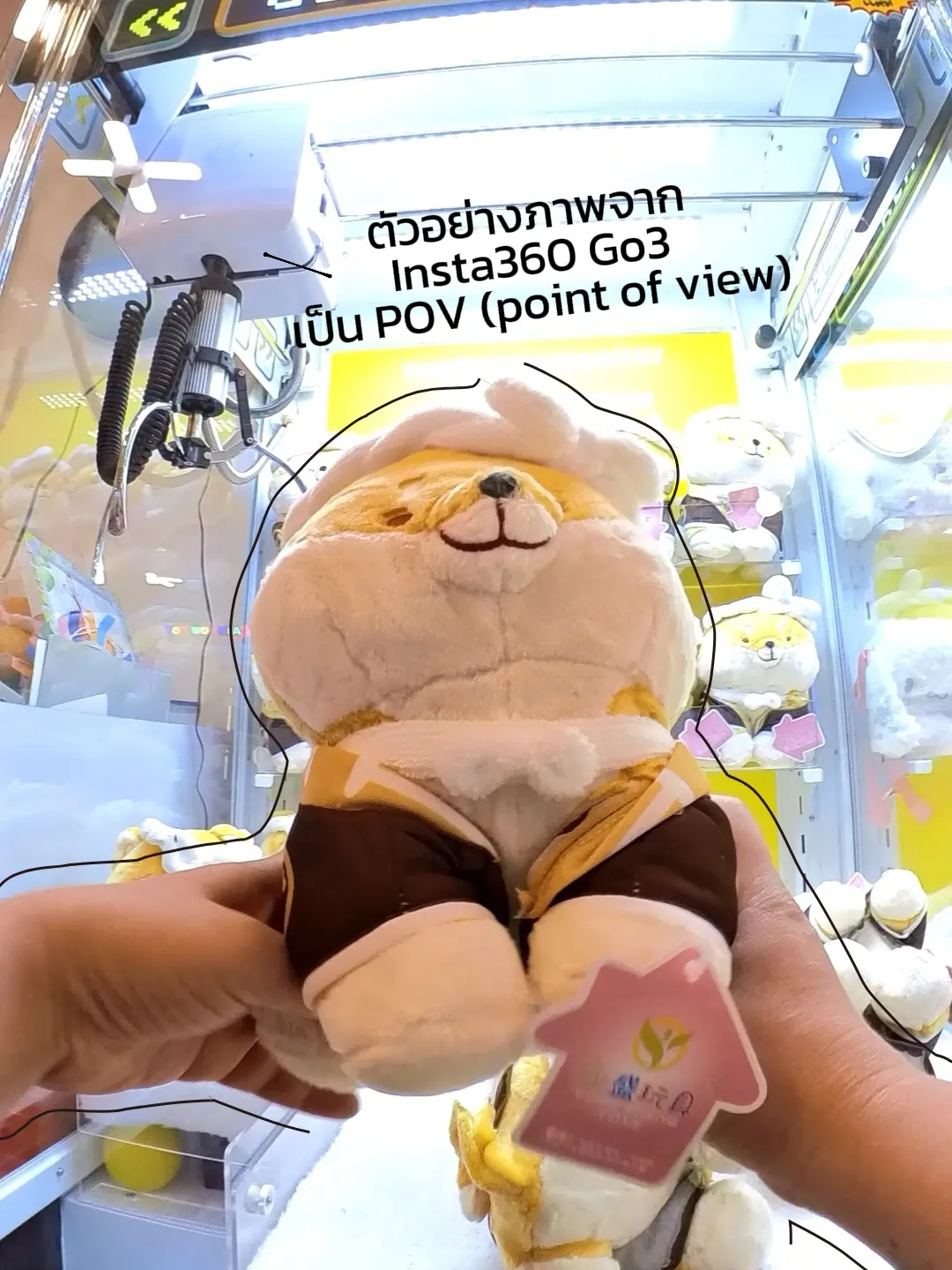 สายคอนเท้น📸เลือก DJI Pocket 2 หรือ Insta360 Go3 ดี | แกลเลอรีที่โพสต์โดย บีบั๊กนักป้ายยา | Lemon8