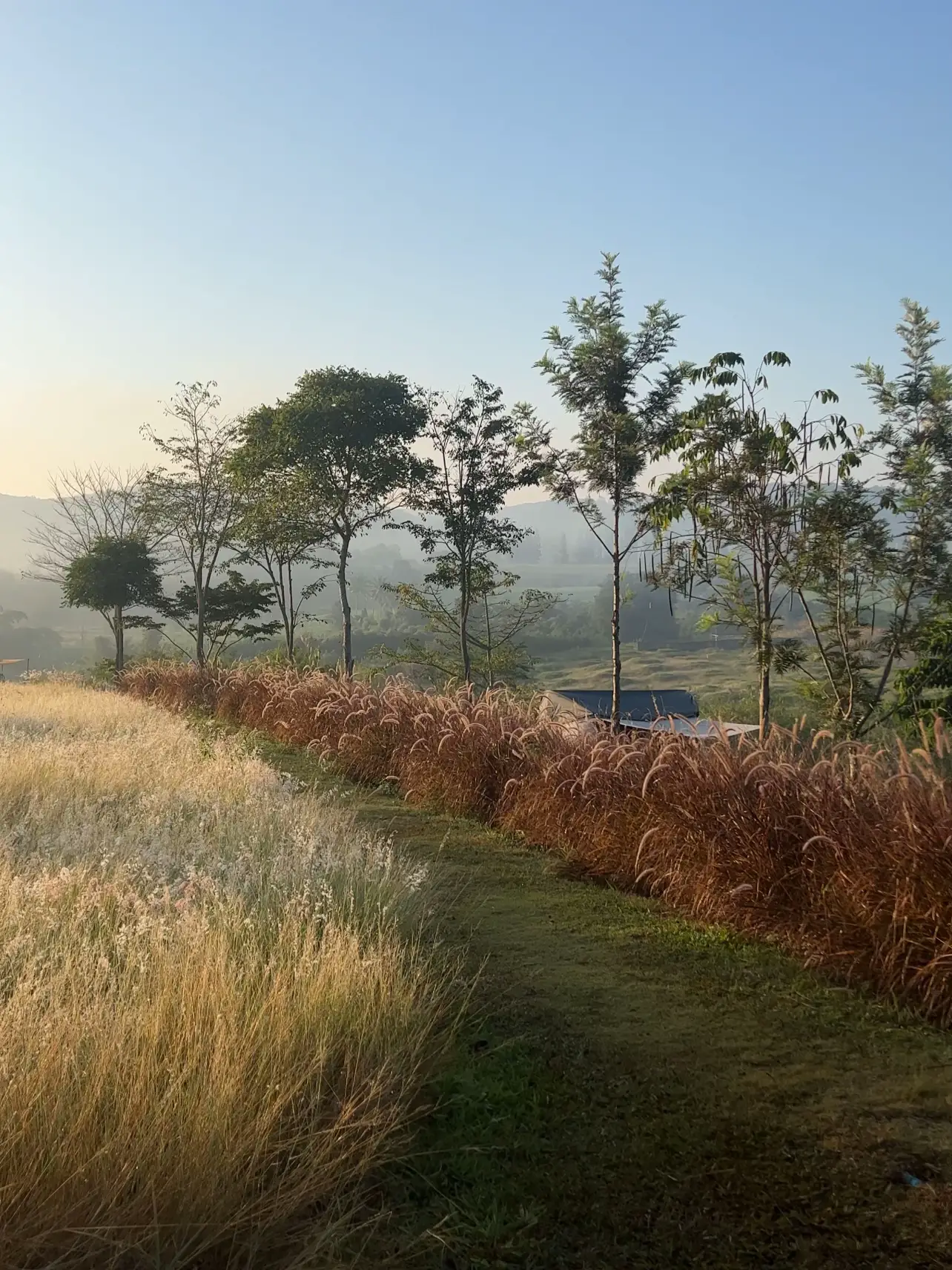 Route 3060🌲 | แกลเลอรีที่โพสต์โดย Plamuek🦧 | Lemon8