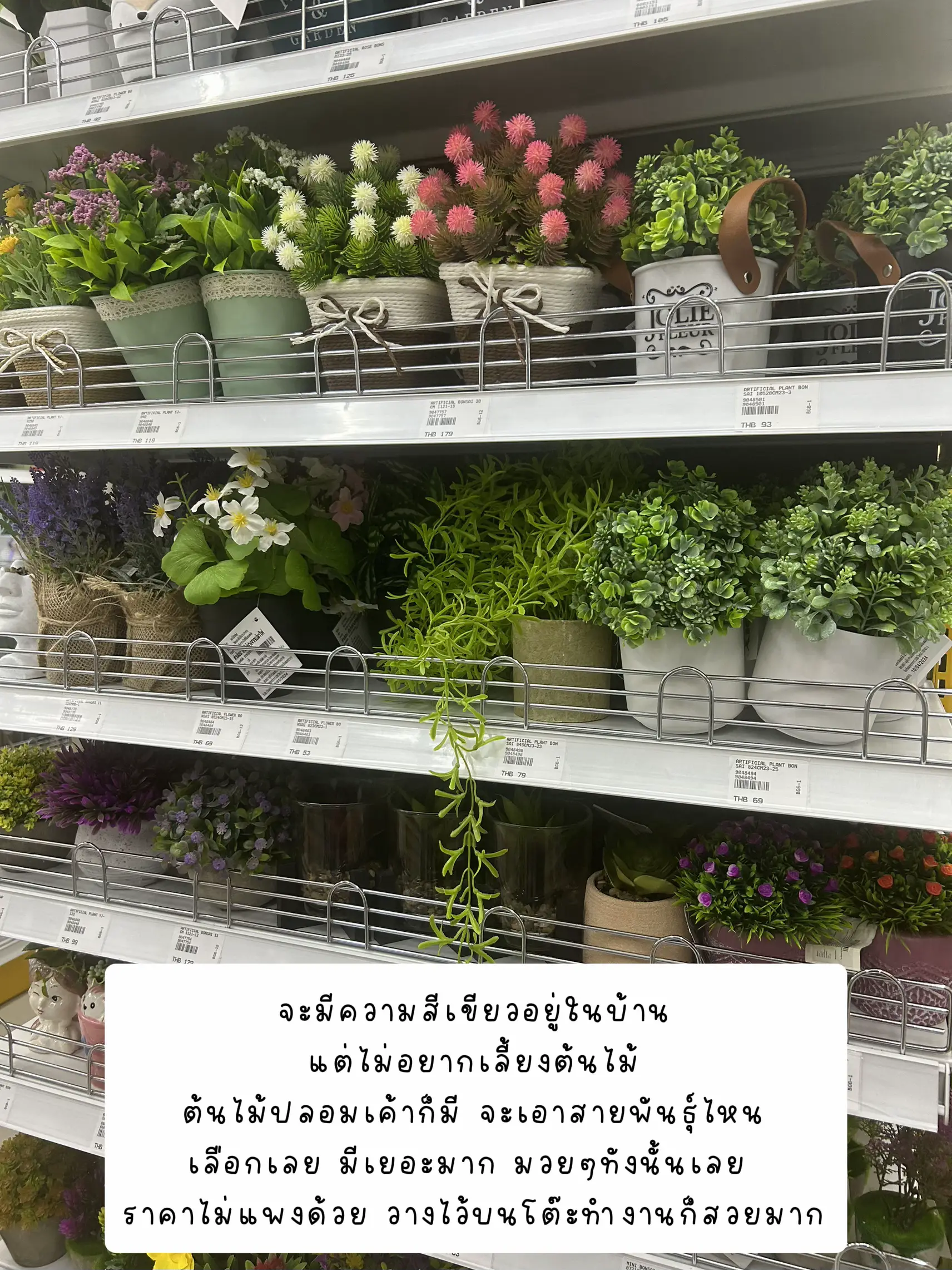 ส่องร้าน MR.D.I.Y. 🍋 | แกลเลอรีที่โพสต์โดย CREAMPUN | Lemon8