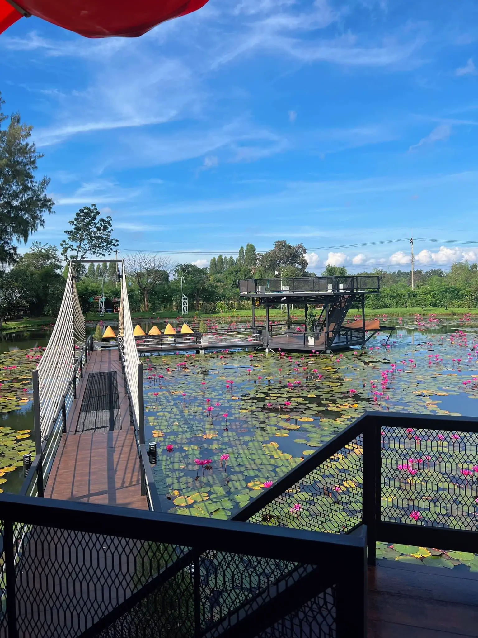 Ngum Ngum Burger🍔 | แกลเลอรีที่โพสต์โดย Kaewtaa ̈ | Lemon8