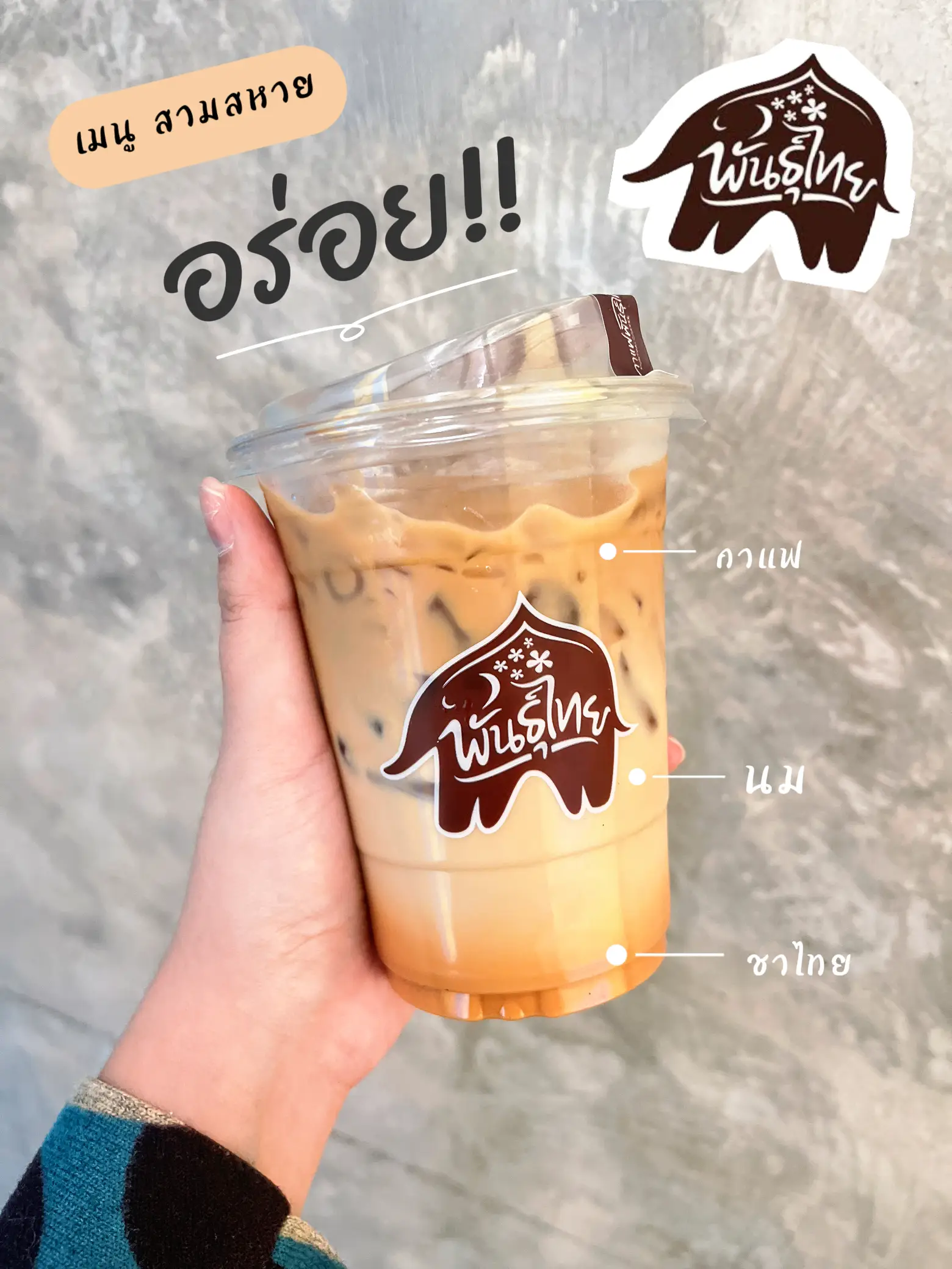 เมนูนี้ อร่อยเกินเรื่อง [กาแฟพันธุ์ไทย] ☕️🥛 แกลเลอรีที่โพสต์โดย ซัน