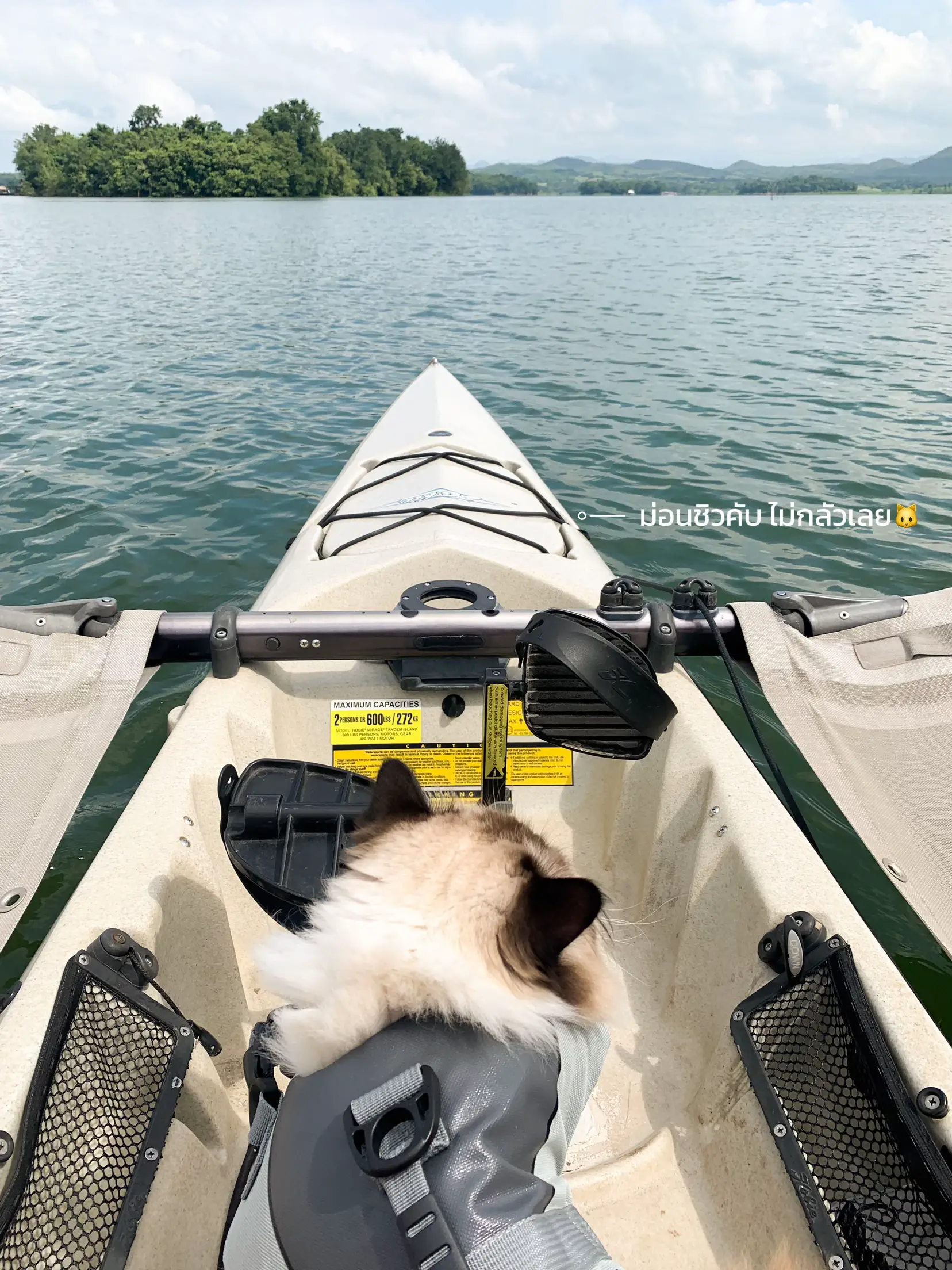 โรงแรมน้องแมวเข้าได้ กาญจนบุรี๊ ! 🐱 | แกลเลอรีที่โพสต์โดย May | Lemon8