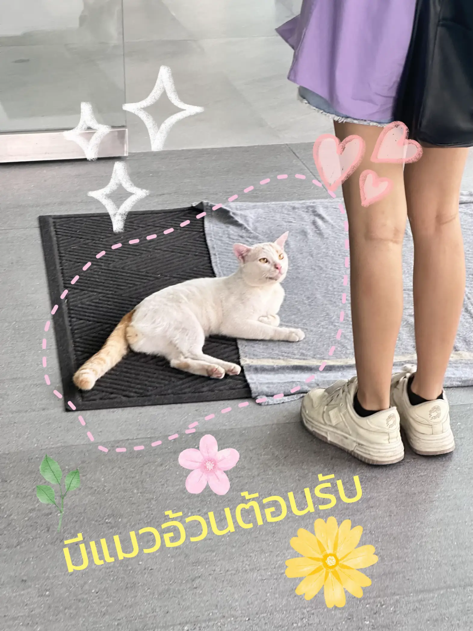 ติด BRT นั่งฟรีถึงที่ทำงาน | แกลเลอรีที่โพสต์โดย Fa •.• | Lemon8