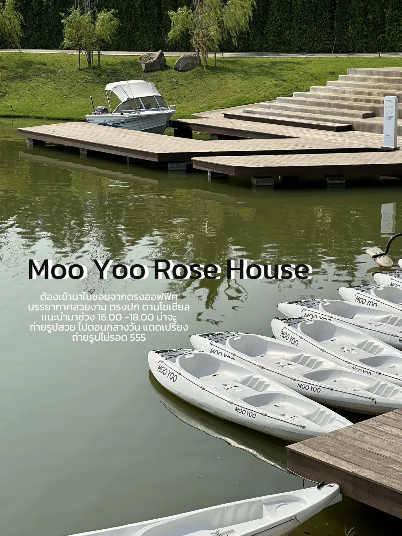 รีวิวคาเฟ่ดังนครปฐม Moo Yoo Rose House ขนมอร่อยถ่ายรูปสวย | แกลเลอรีที่ ...