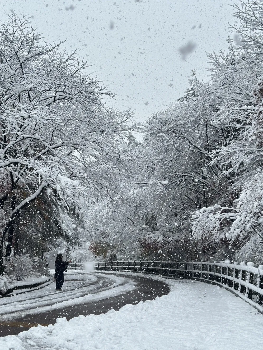 First Snow2024🇰🇷 ️ | แกลเลอรีที่โพสต์โดย omma.so | Lemon8