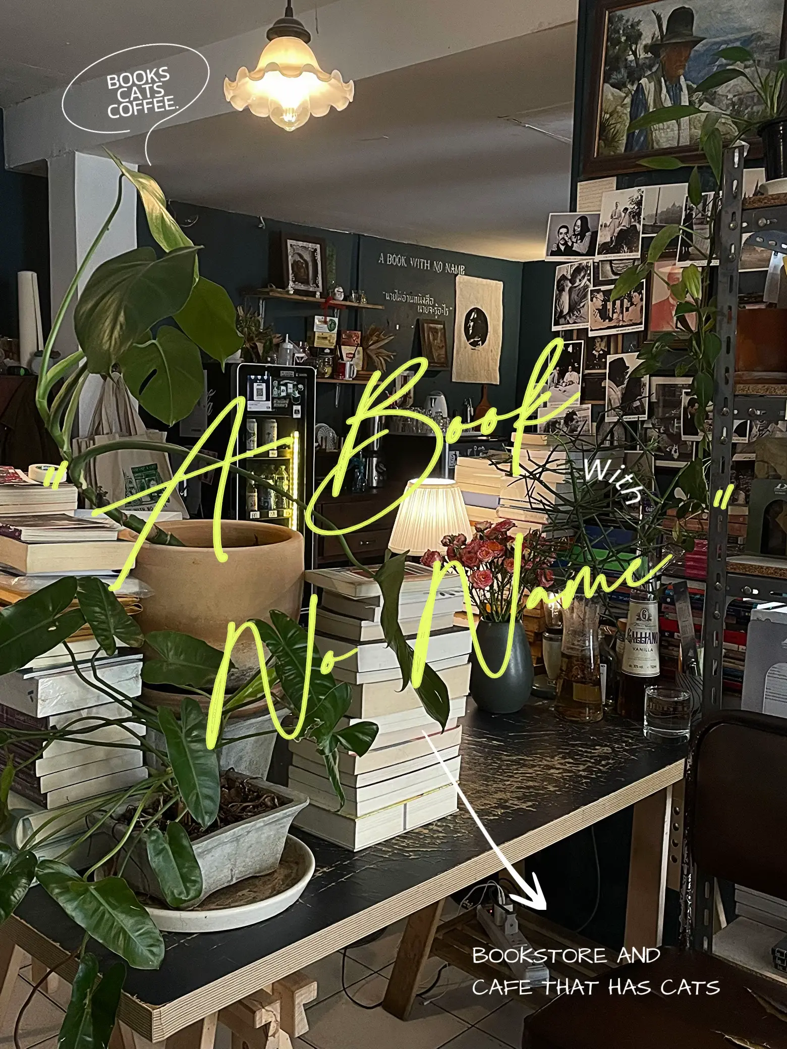 A BOOK with NO NAME - หนังสือ แมว และกาแฟ | แกลเลอรีที่โพสต์โดย Julie 🪴 | Lemon8