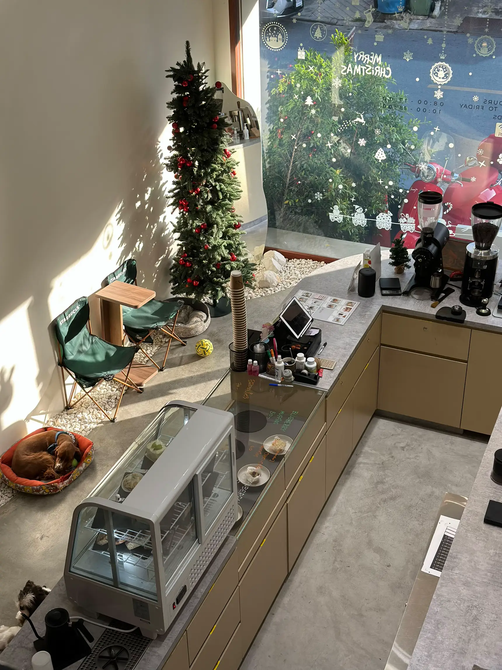 Capulus.bkk คาเฟ่บางกะปิ | แกลเลอรีที่โพสต์โดย Kanokorn_only | Lemon8