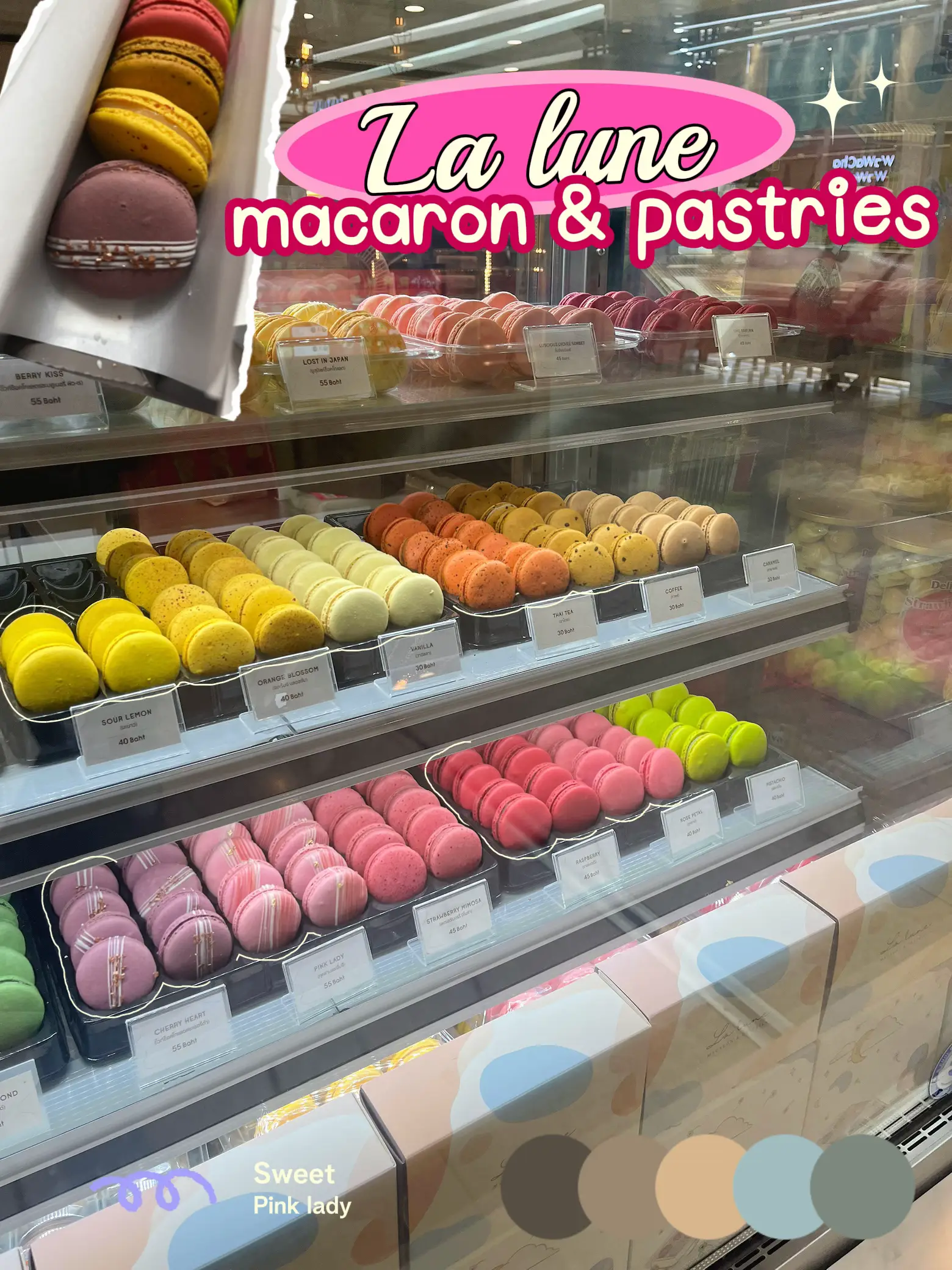 La Lune Macaron&Pastries มาการองในดวงใจของหลายคน😻 | แกลเลอรีที่โพสต์โดย Pechpang♡ | Lemon8