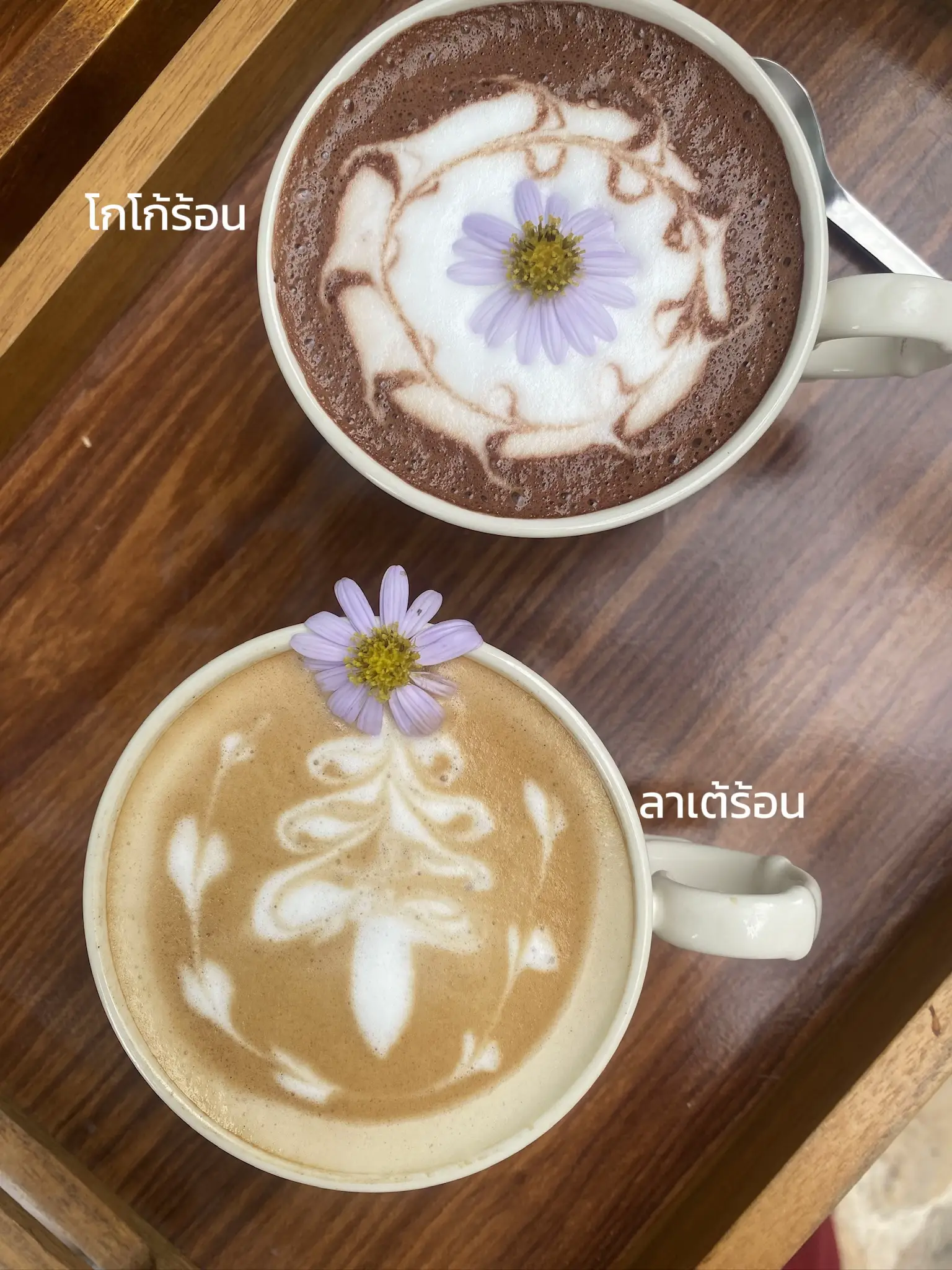 ที่พัก เขาใหญ่ อากาศดี ⛰️🌲 | แกลเลอรีที่โพสต์โดย tipmanee | Lemon8