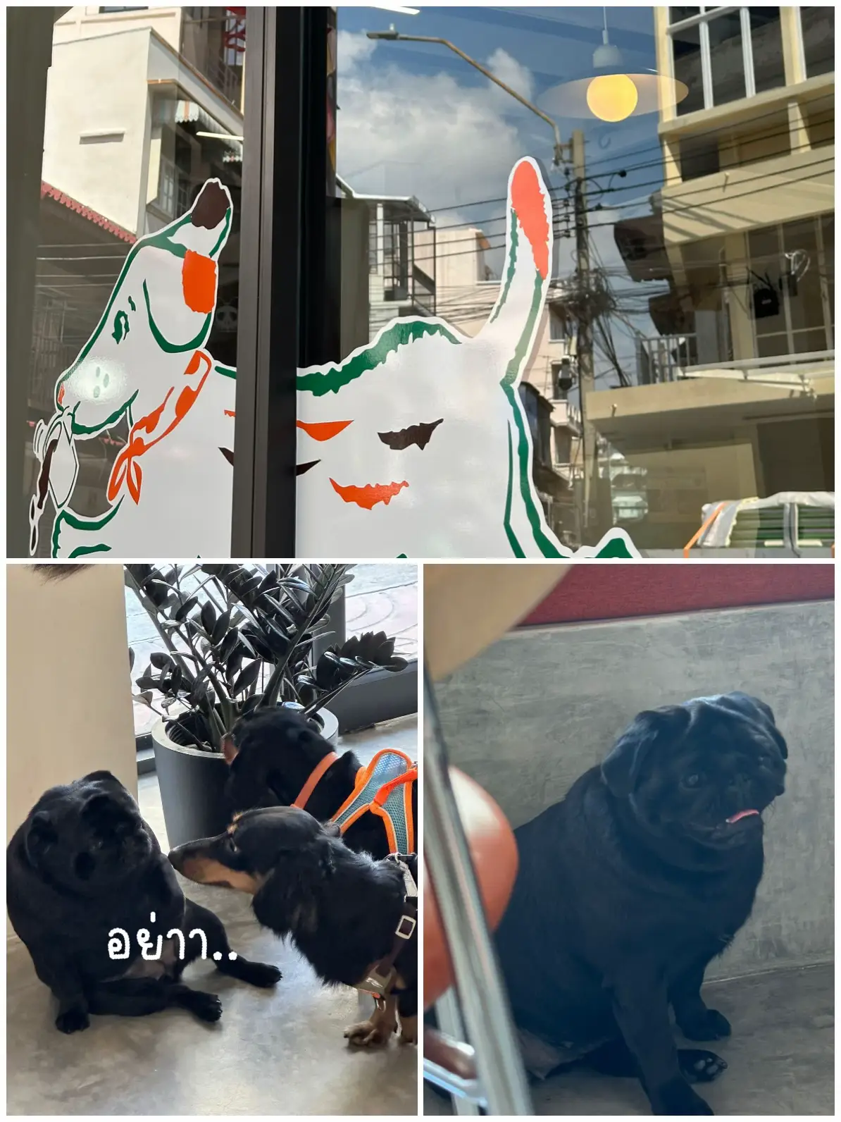 LEAP & SAME OLD DAY 🕶️ คาเฟ่ & ร้านแว่นสุดชิค!! | แกลเลอรีที่โพสต์โดย ...