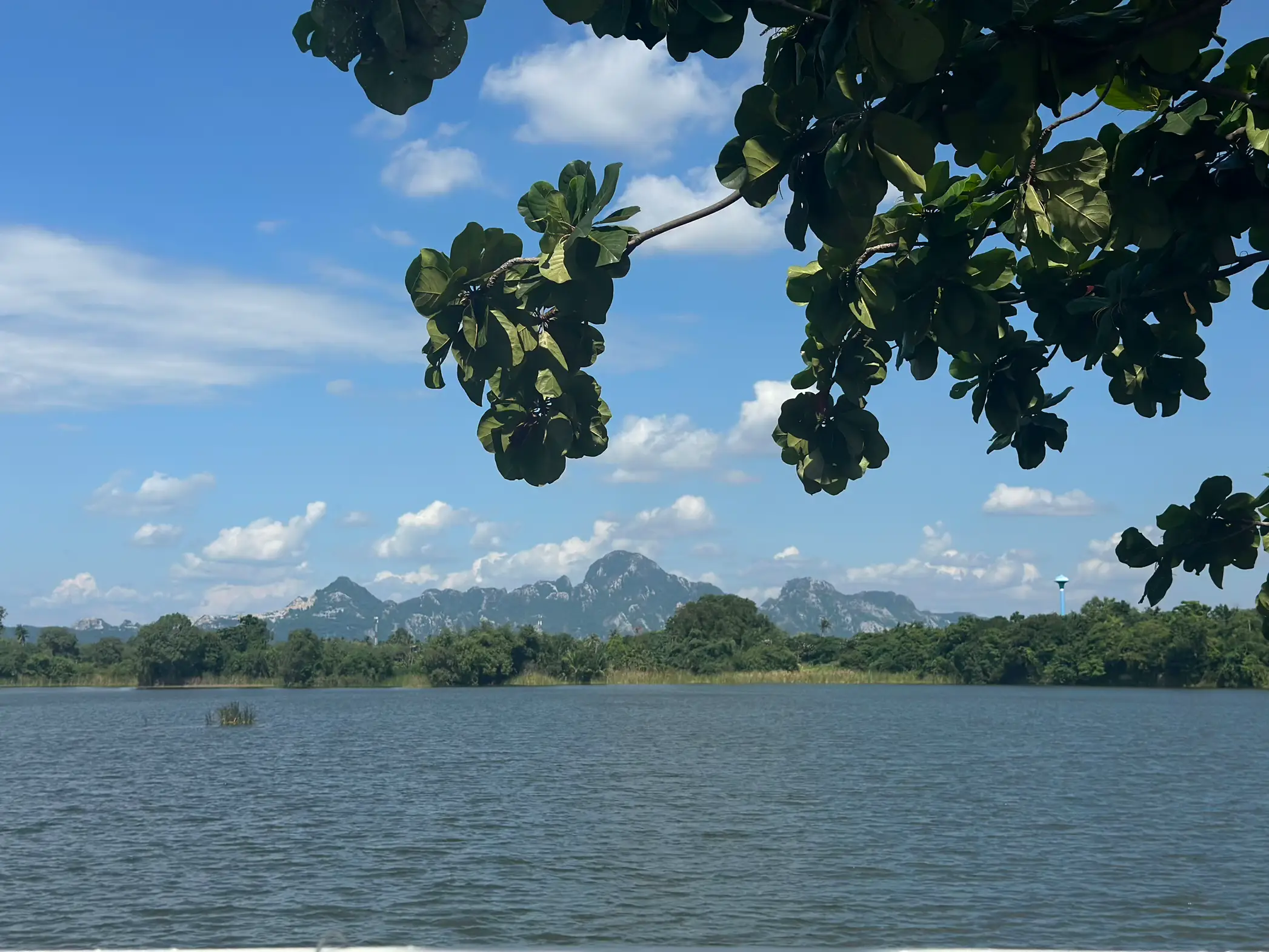 Lagune cafe อ.บ้านหมอ จ.สระบุรี | แกลเลอรีที่โพสต์โดย Anusara Pumpiku | Lemon8