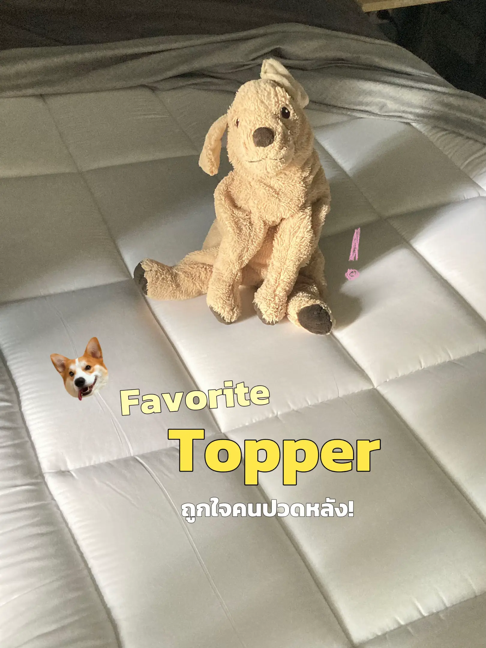 Topper 1 in mind 😻🫶🏻🛏️ | Gallery posted by i lyprae | Lemon8