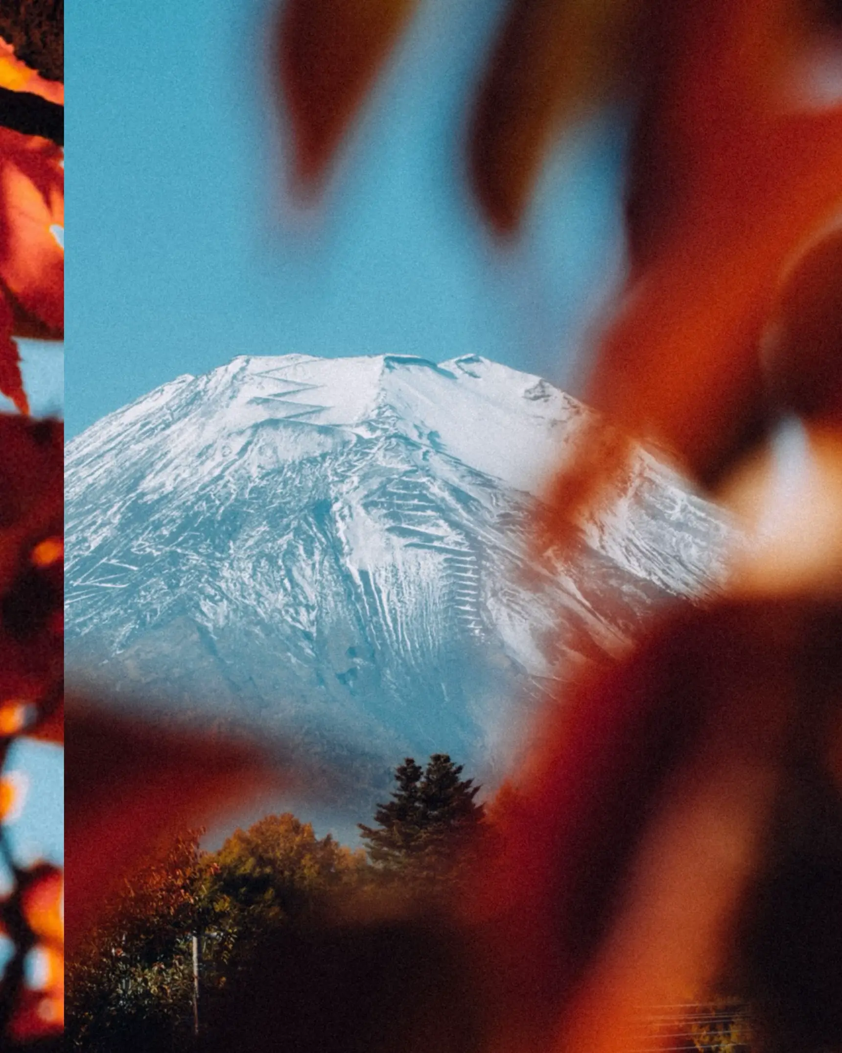 Magic with autumn leaves | Gallery posted by Benjamin | Lemon8