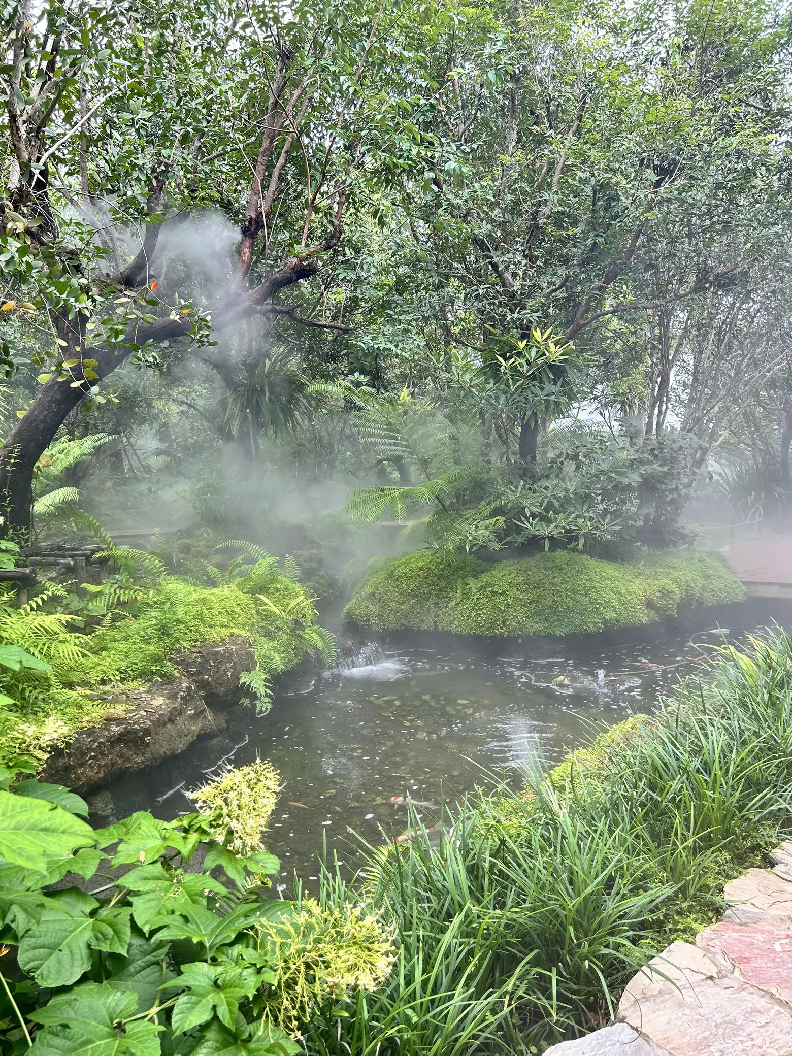 Aomkod cafe’ อัมพวา | แกลเลอรีที่โพสต์โดย Anfield💚Amp | Lemon8