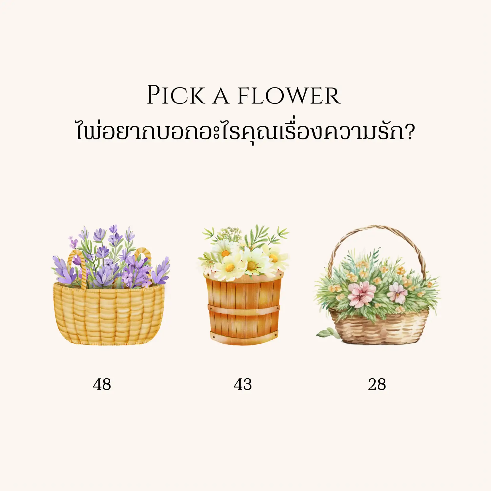 Pick a flower ไพ่อยากบอกอะไรคุณเรื่องความรัก? 🌹🌹🌹 | แกลเลอรีที่โพสต์โดย ...