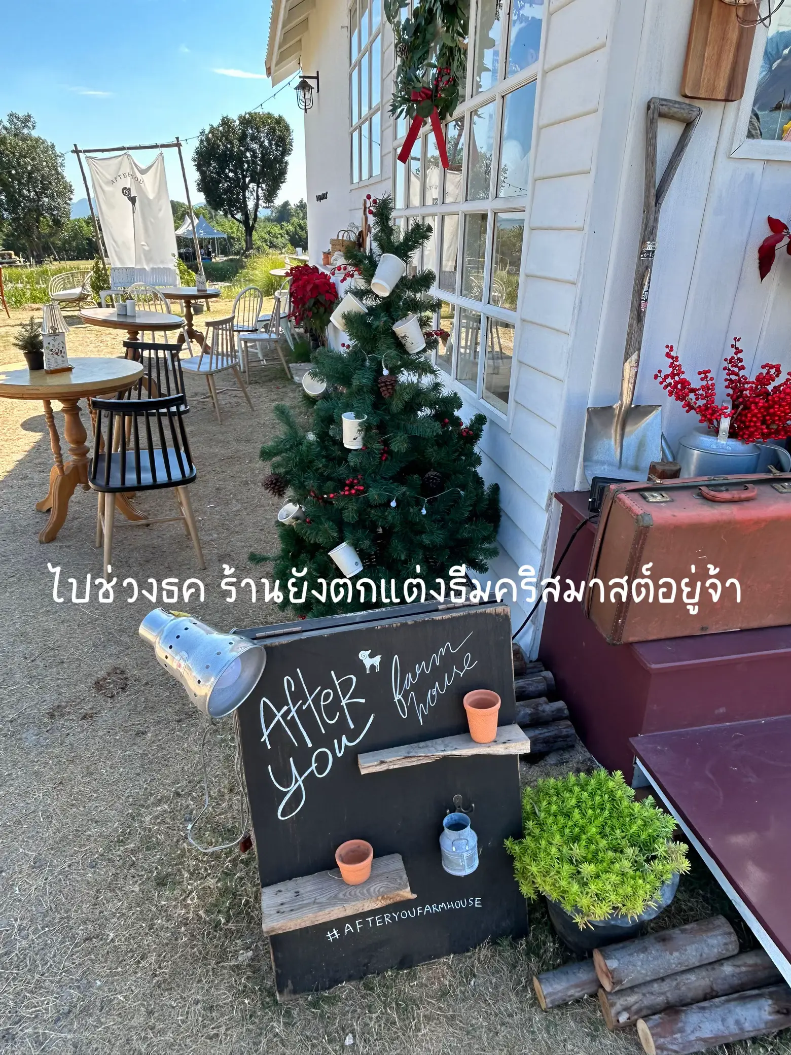 มาตามกิน after you @midwinter เขาใหญ่ 🛖🗻 | แกลเลอรีที่โพสต์โดย Tatow ...
