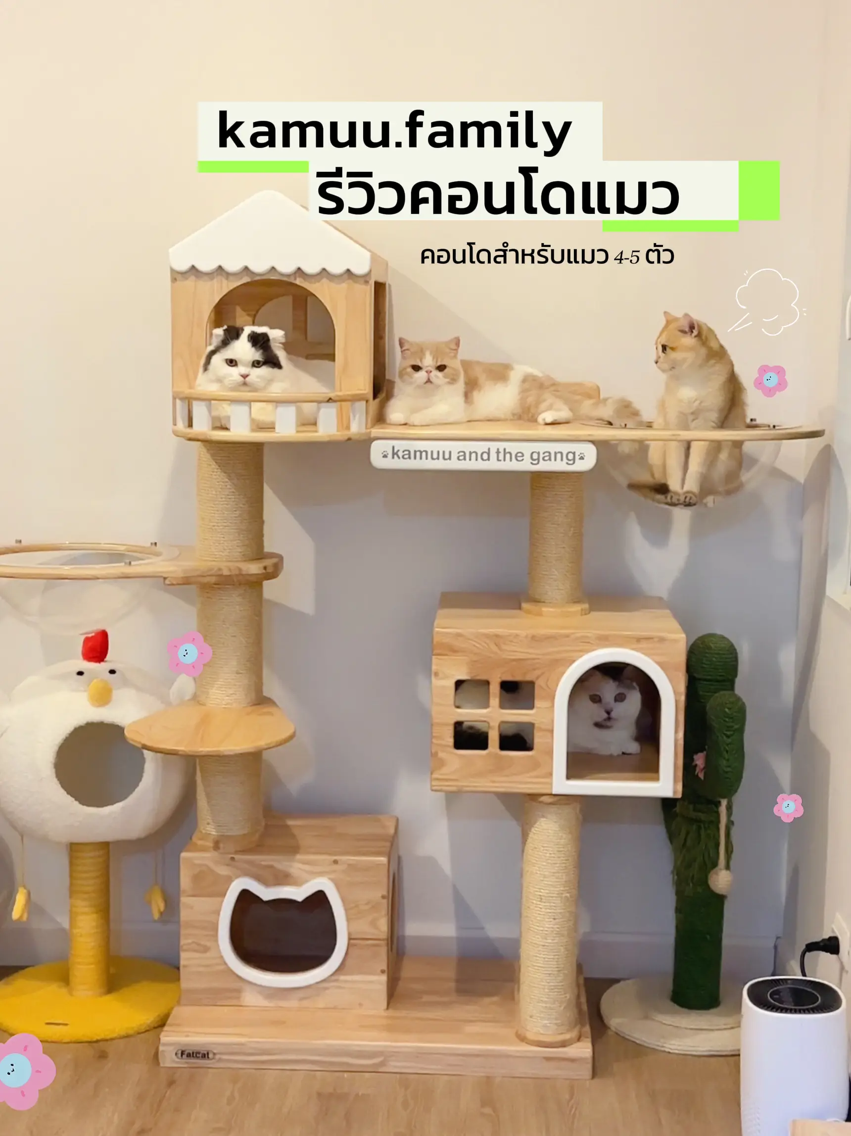 คอนโดแมวสั่งทำ | แกลเลอรีที่โพสต์โดย Kamuu | Lemon8