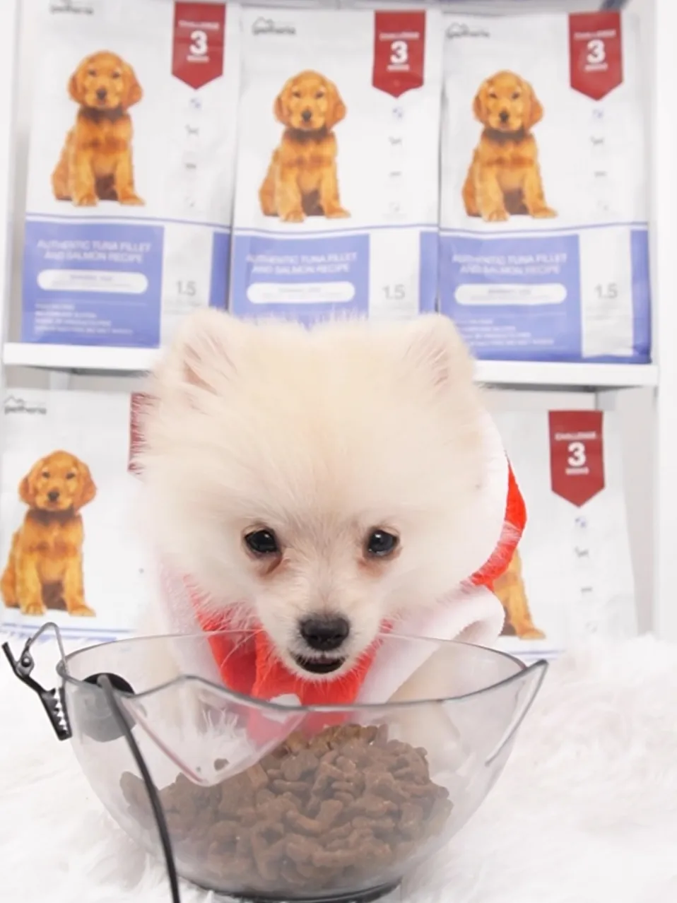 บาล้านซ์ หม่ำ ๆ 🤤🐶 | วิดีโอที่เผยแพร่โดย petheria DOG | Lemon8