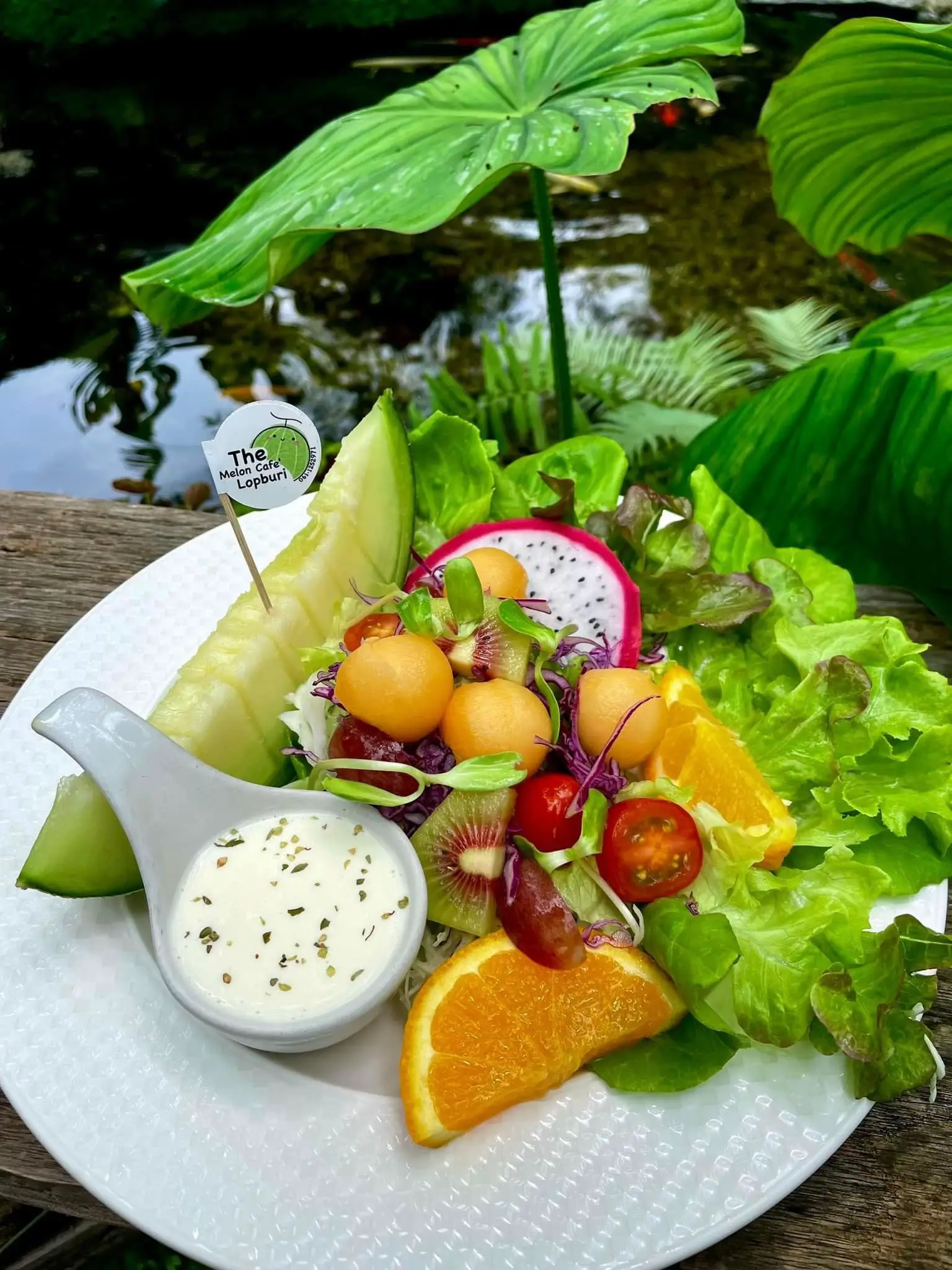 คาเฟ่ลพบุรี😍🥰 | แกลเลอรีที่โพสต์โดย the melon cafe | Lemon8