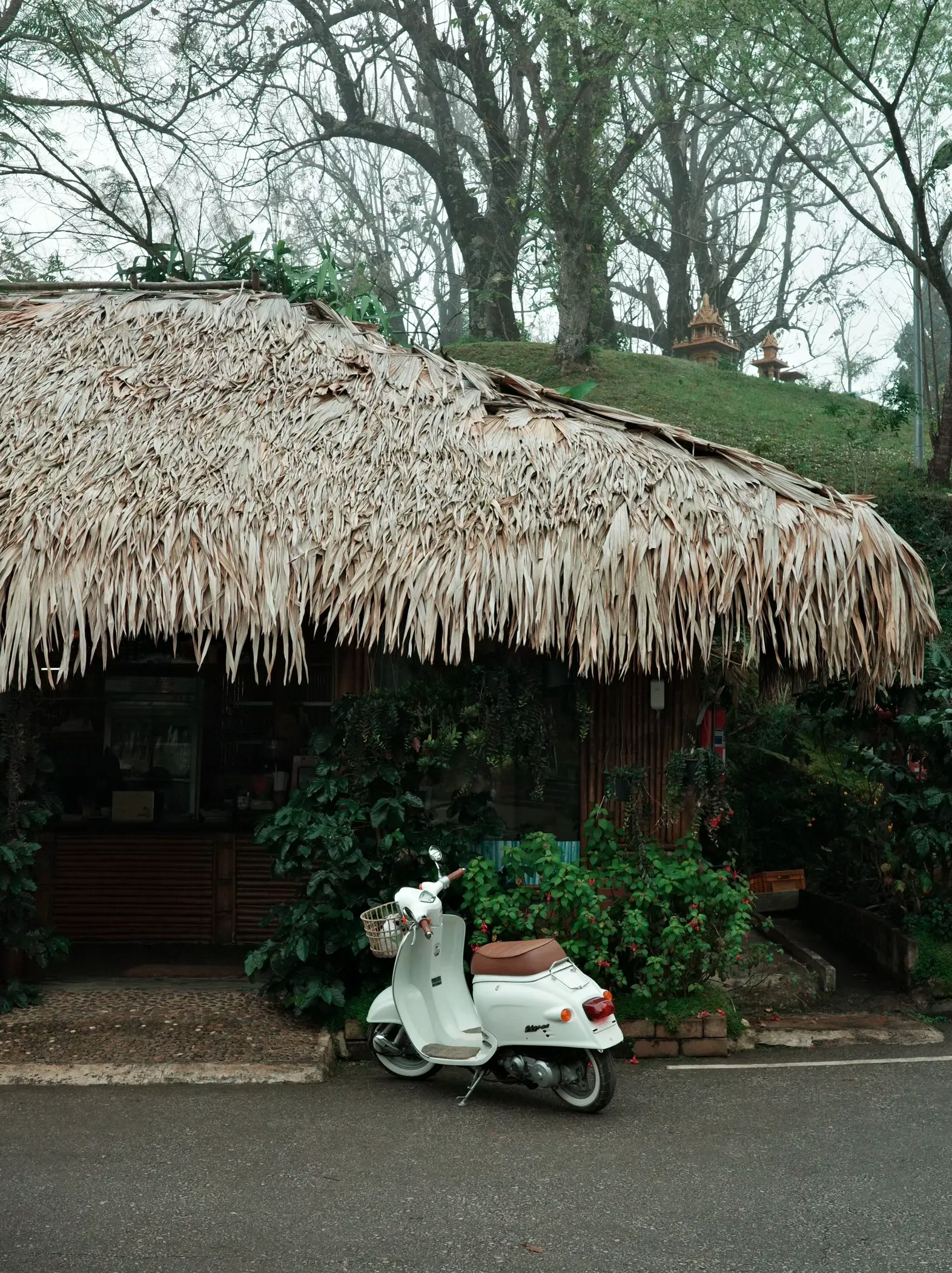 รีวิวกล้อง Ricoh GR IIIX ที่ฮิตที่สุดในตอนนี้! คุ้มไหม?! | แกลเลอรีที่ ...