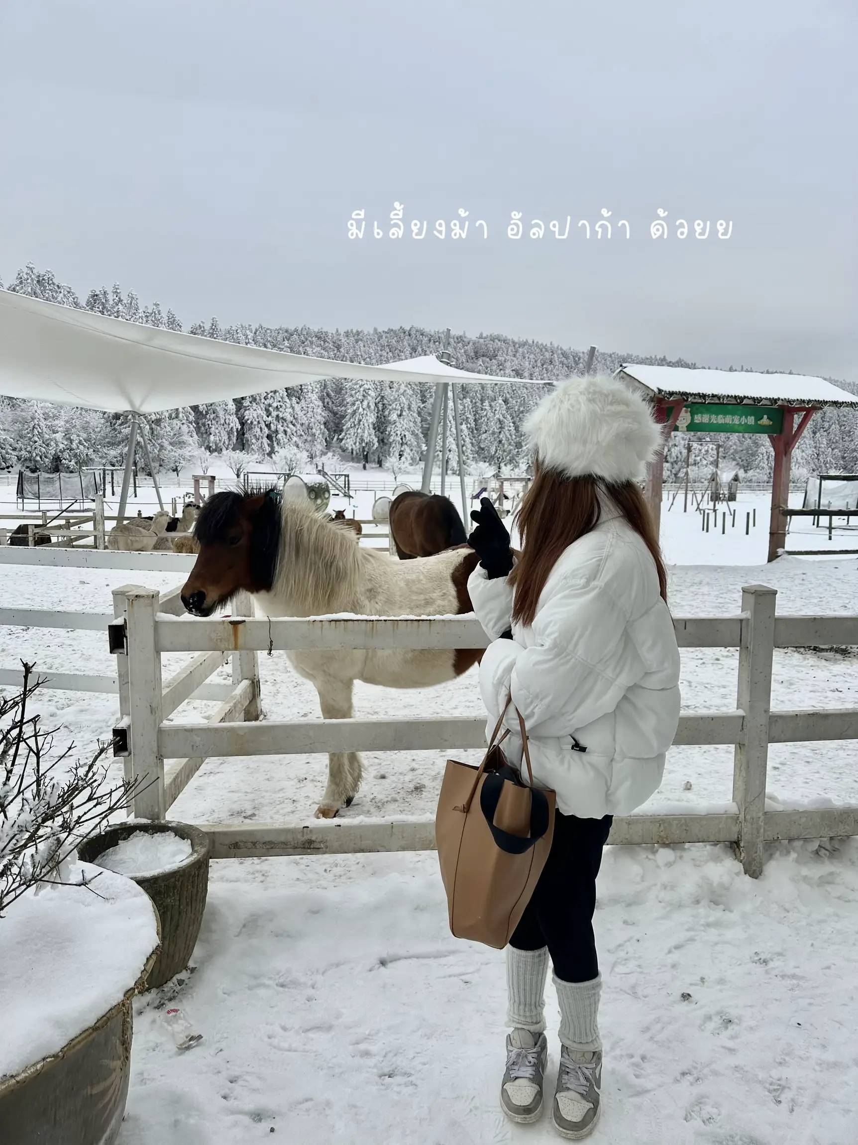 ฉงชิ่งก็มีหิมะนะ!! My Winter first Snow Trip 2024🧚‍♀️ ️ | แกลเลอรีที่ ...
