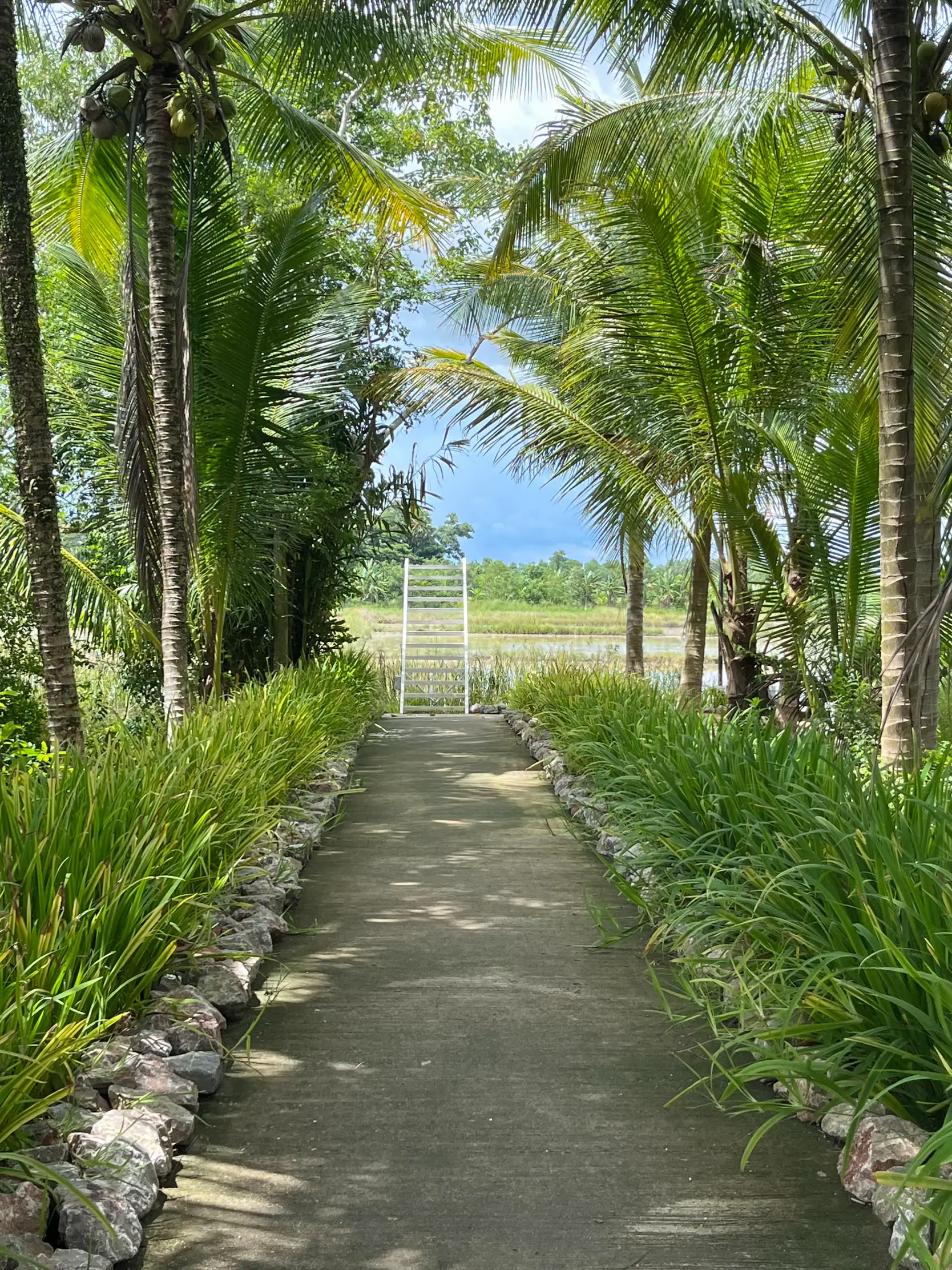 HLNG Cafe (หลง คาเฟ่) @พัทลุง | แกลเลอรีที่โพสต์โดย Ptmwdrn | Lemon8