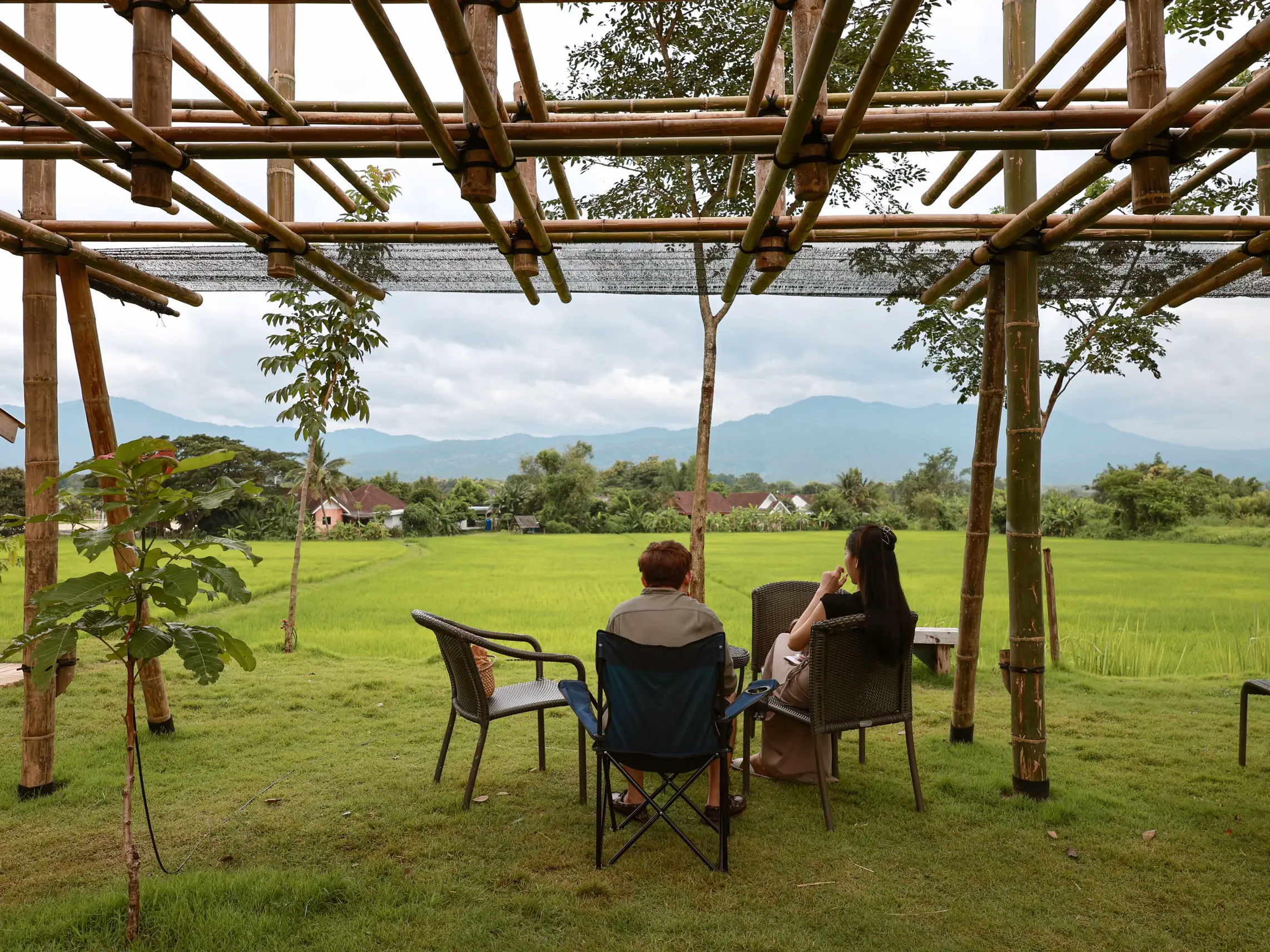 🌾จิบกาแฟริมทุ่ง Thingamajiggy #คาเฟ่แม่ริม #เชียงใหม่ | แกลเลอรีที่ ...