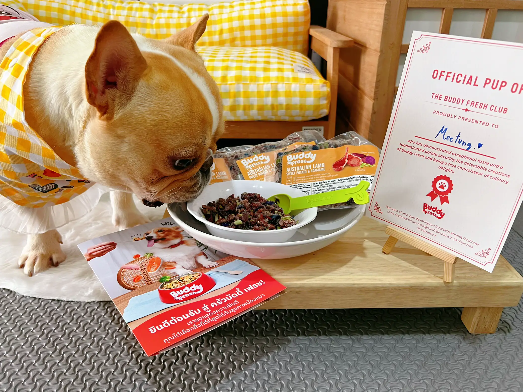 Party 🎉 นี้ไม่ต้องกังวลจะกินอะไรดี นี่เลย Buddy Fresh - อาห | แกลเลอรี ...