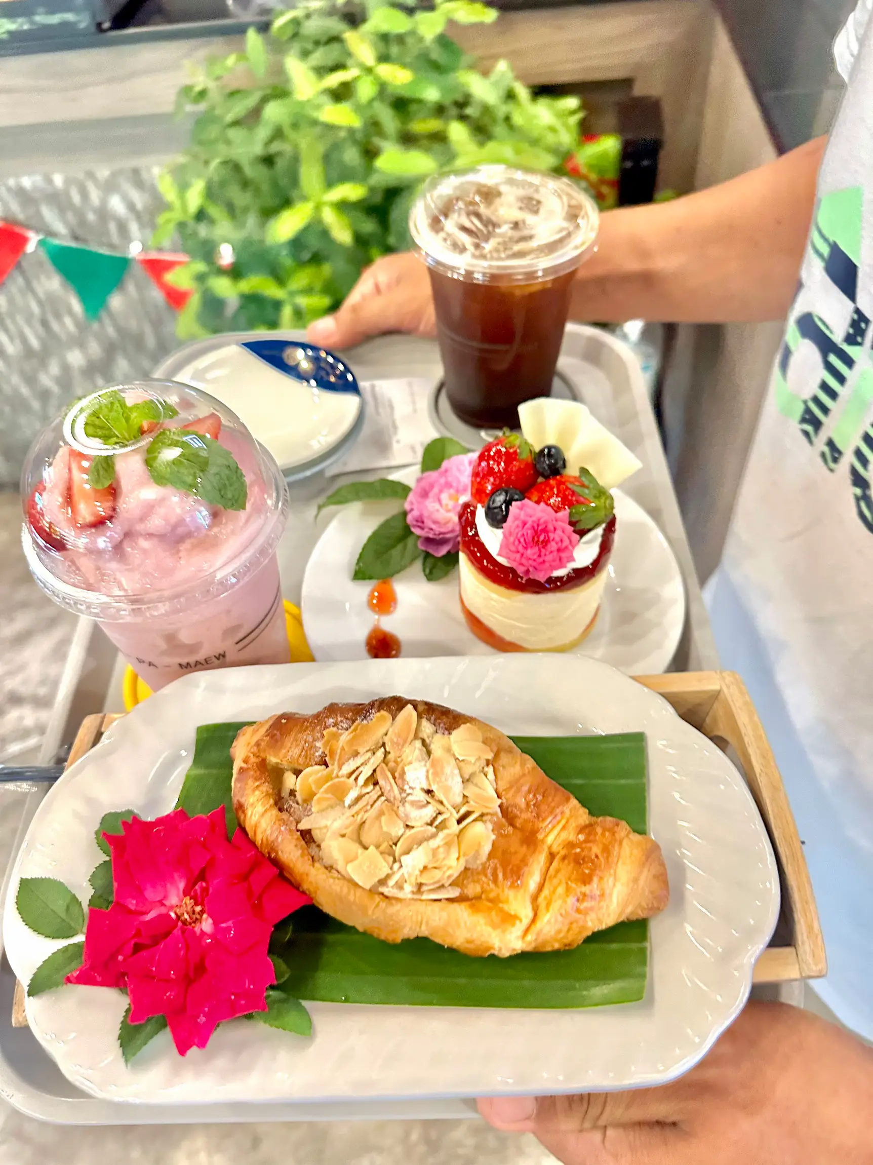 ไร่ป้าแมว คาเฟ่ RAI-PA-MAEW CAFE 🌸 | แกลเลอรีที่โพสต์โดย Emmieesuni ...