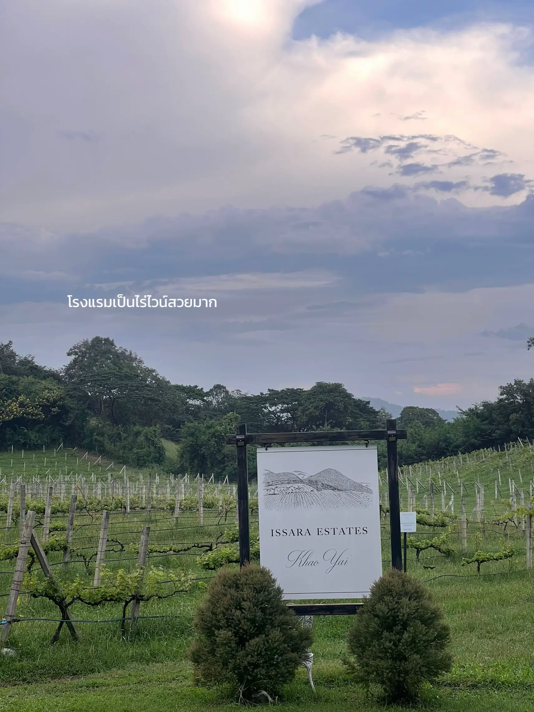 Issara boutique winery hotel | แกลเลอรีที่โพสต์โดย New | Lemon8