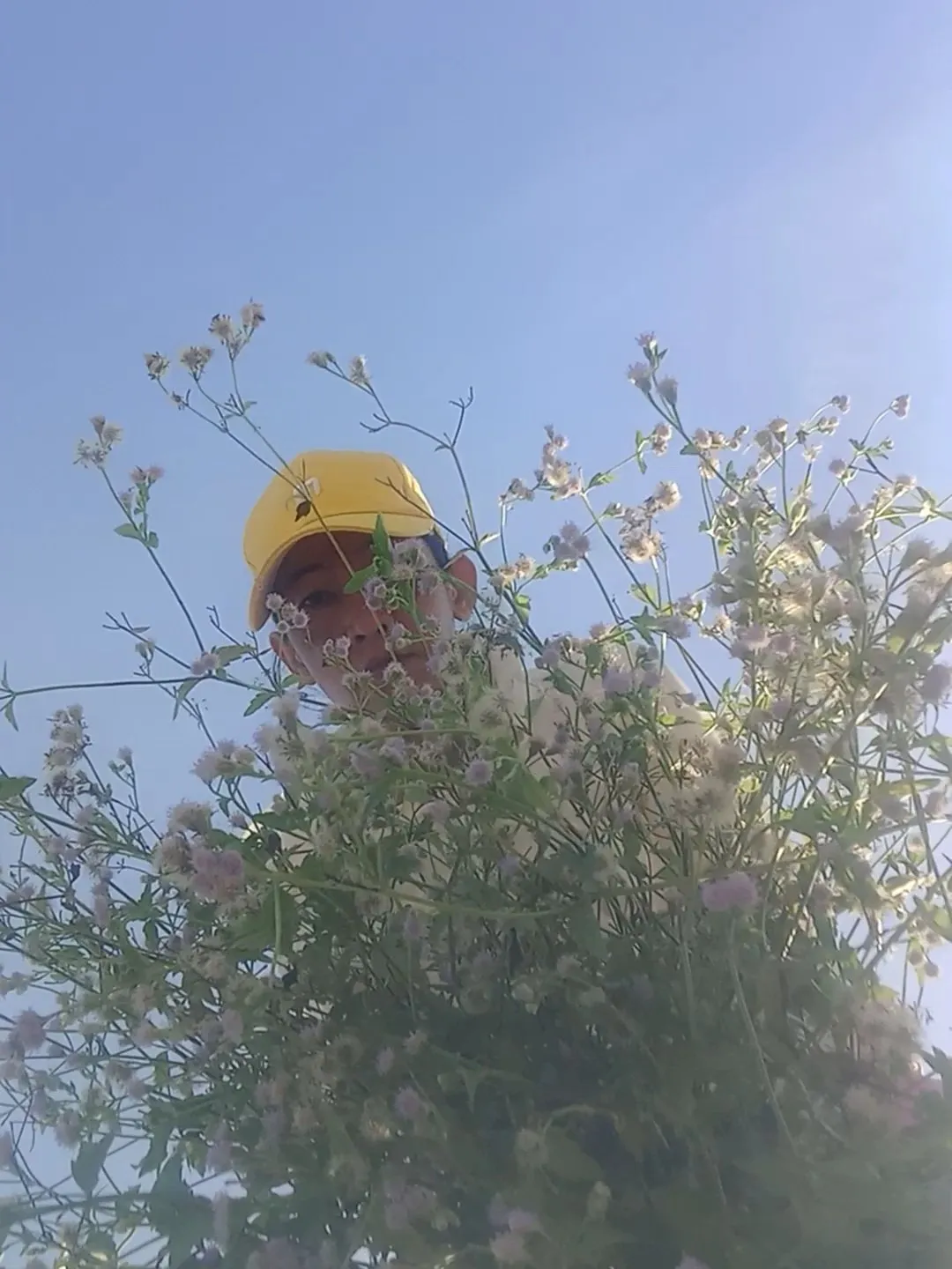 A DAY WITH ME บรรยากาศ🌤️ กิจก | แกลเลอรีที่โพสต์โดย Joy Jee | Lemon8