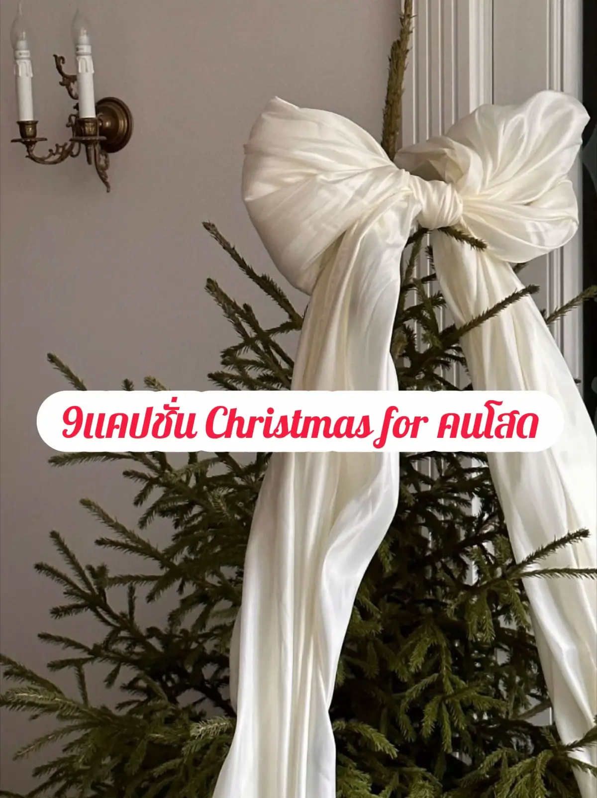 🎄แจกcaptions Christmas ฉบับ คนโสดแบบสาวติดแกรมกันค่า | แกลเลอรีที่โพสต์โดย Maple Inthira | Lemon8