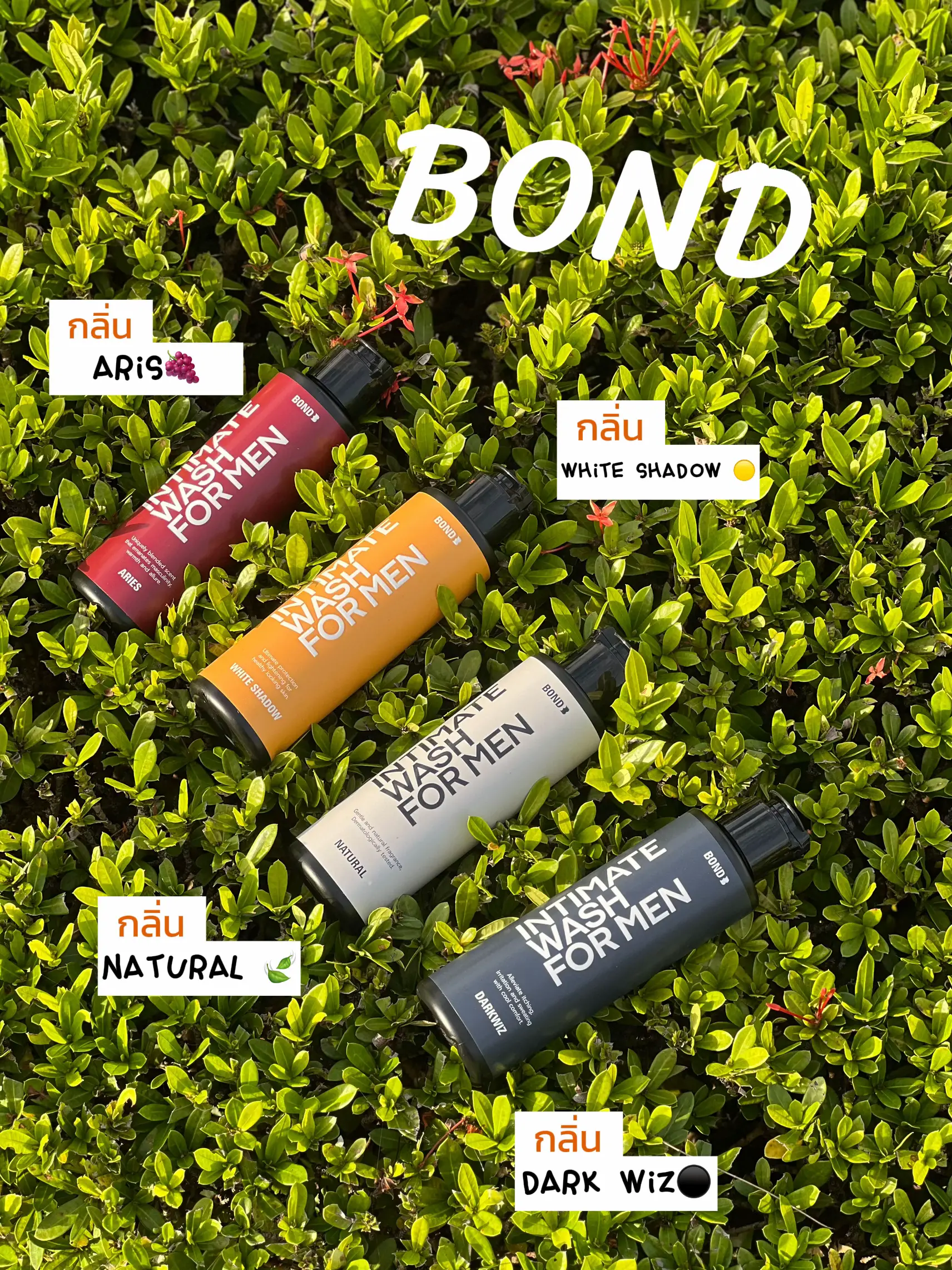 BOND MEN’S | แกลเลอรีที่โพสต์โดย Nay’Tor | Lemon8