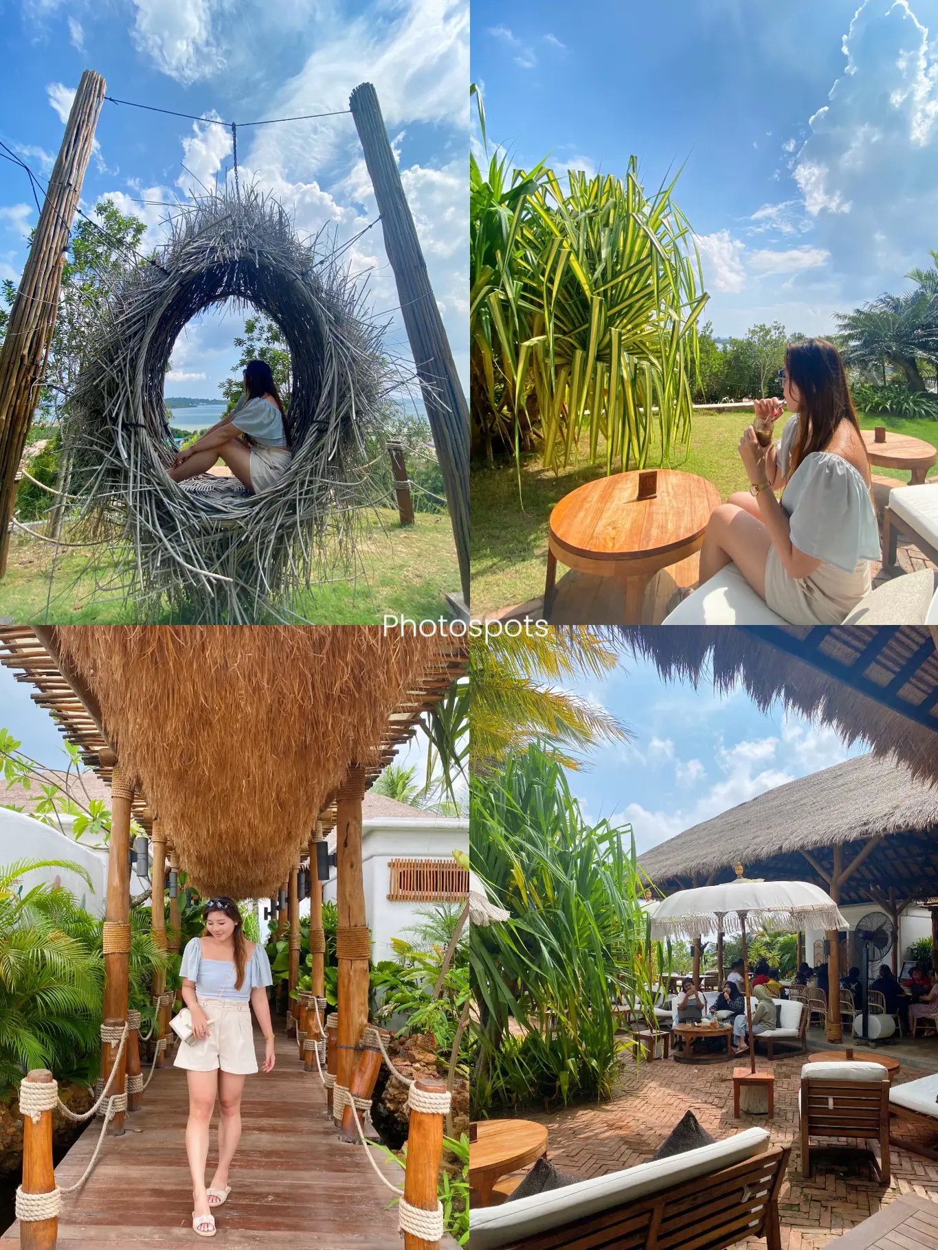 Batam Dog Cafe - Lemon8 Search