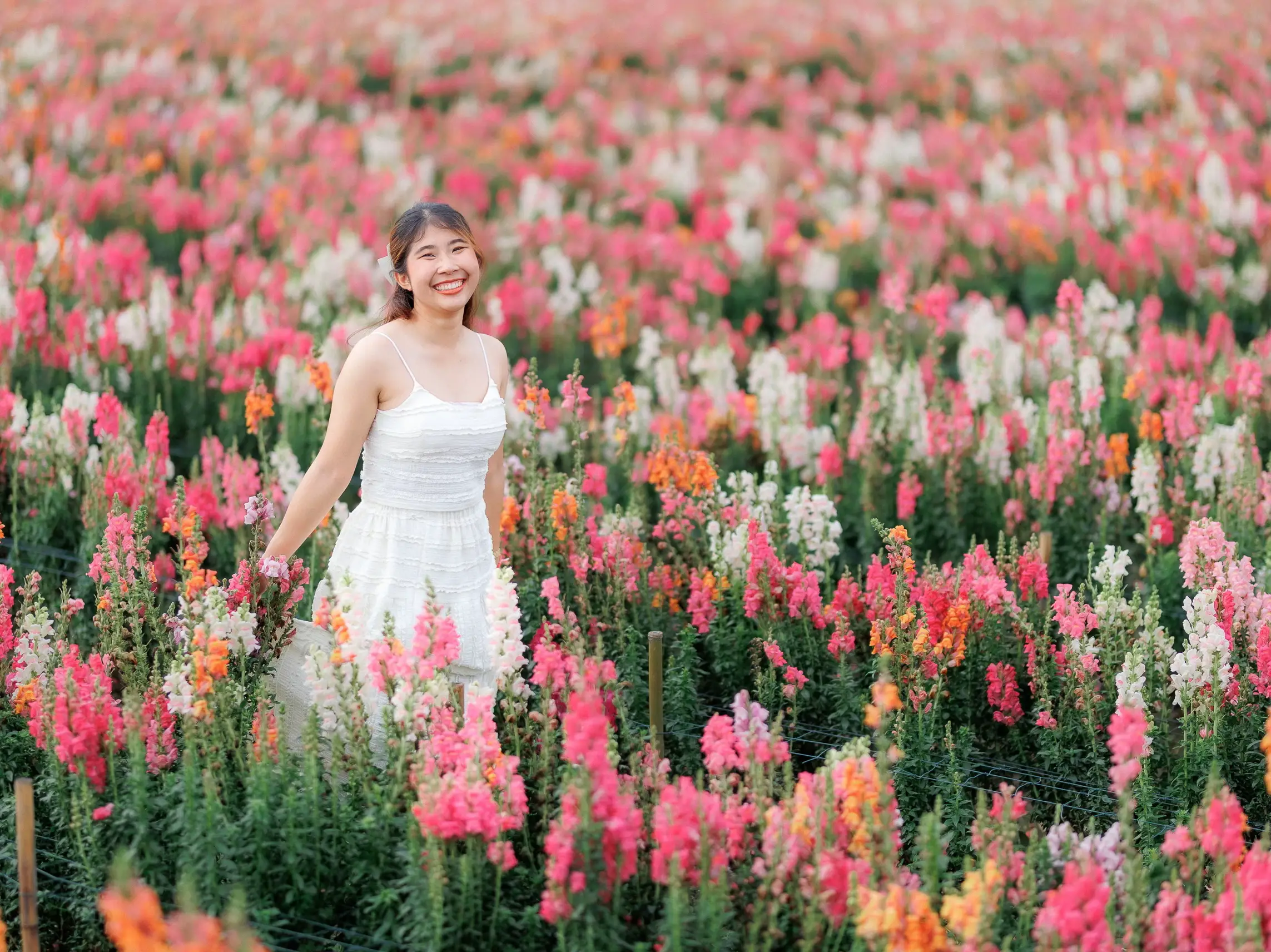 จ้างตากล้องถ่ายรูปสวยๆ I Love Flowe Farm. : Chiangmai | แกลเลอรีที่ ...