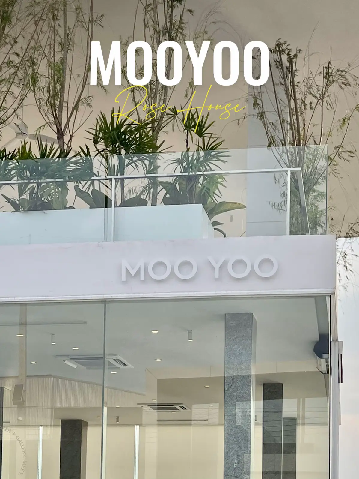 MOO YOO Cafe at Nakhon Pathom 🤍🤍 | แกลเลอรีที่โพสต์โดย Ja’fe painai 🍵 ...