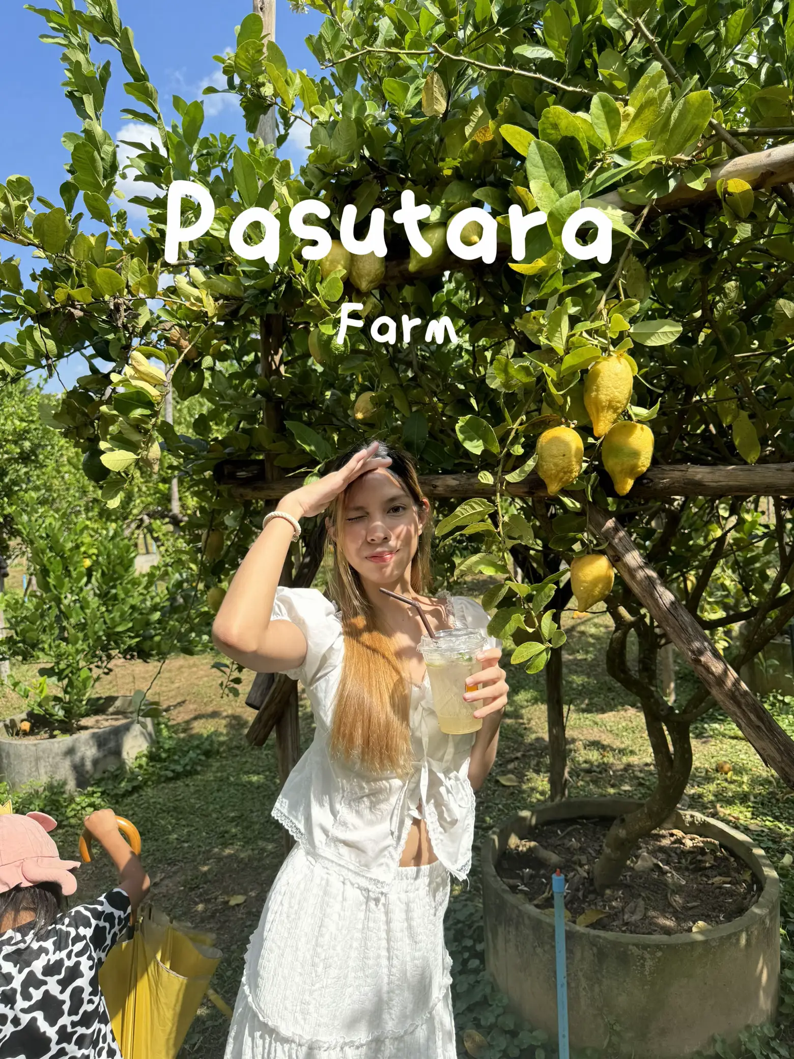 Pasutara farm พสุธารา ฟาร์มเลม่อนราชบุรี 🍋 | แกลเลอรีที่โพสต์โดย Saichill | Lemon8