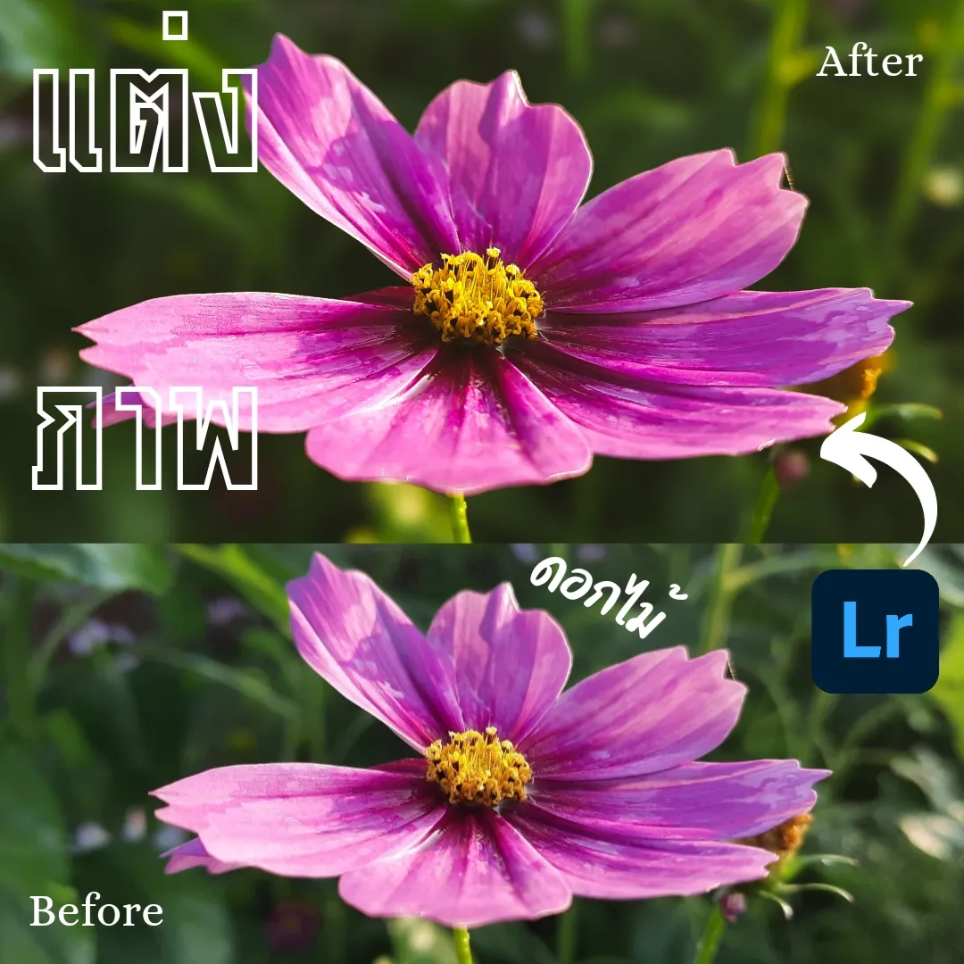 How to แต่งภาพดอกไม้ให้สวยด้วย Lightroom 🎨 | แกลเลอรีที่โพสต์โดย Natdanai Art | Lemon8