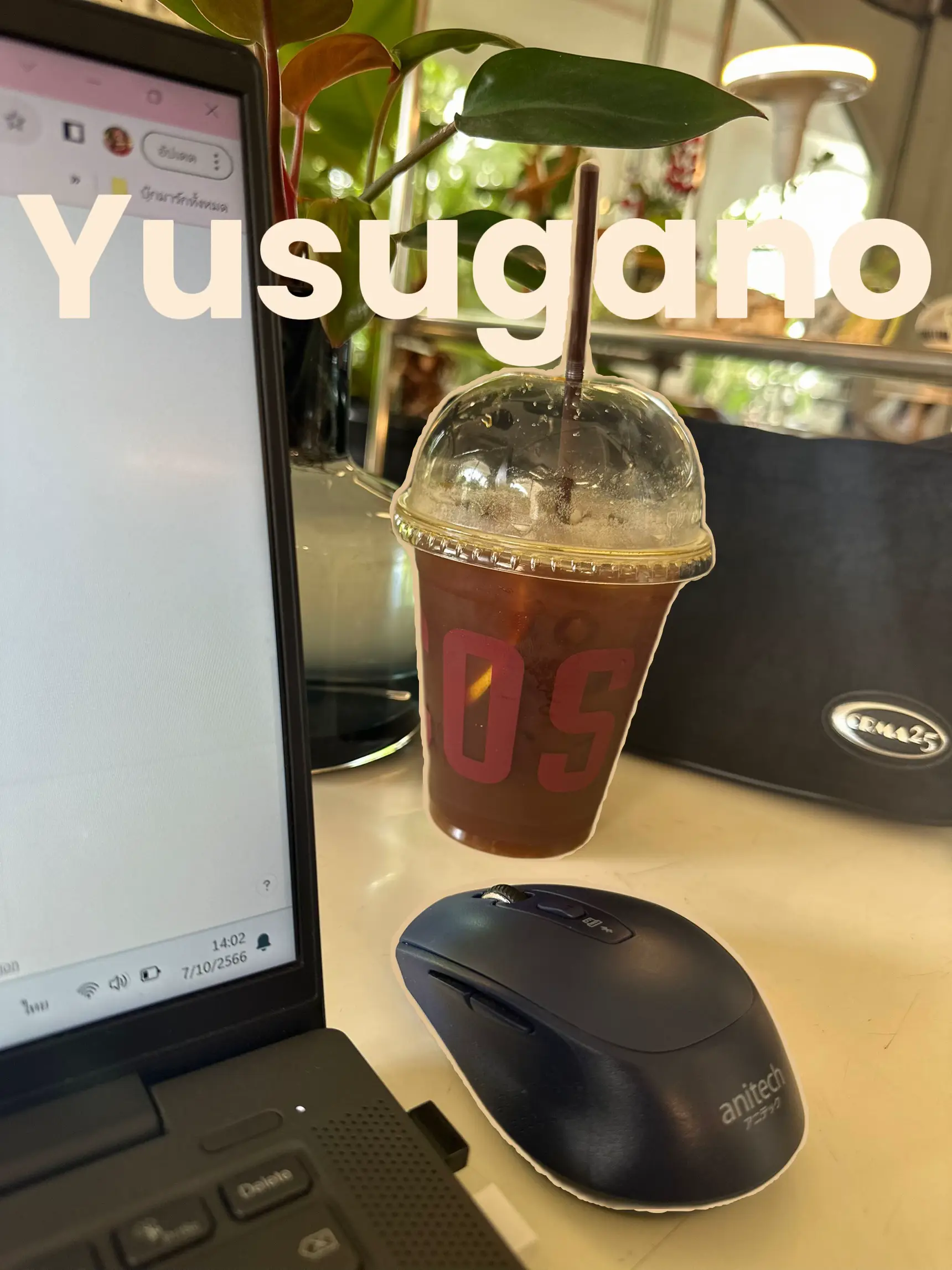 ร้านกาแฟนั่งทำงานเมืองเพชรบุรี | แกลเลอรีที่โพสต์โดย Mint Mintmint | Lemon8