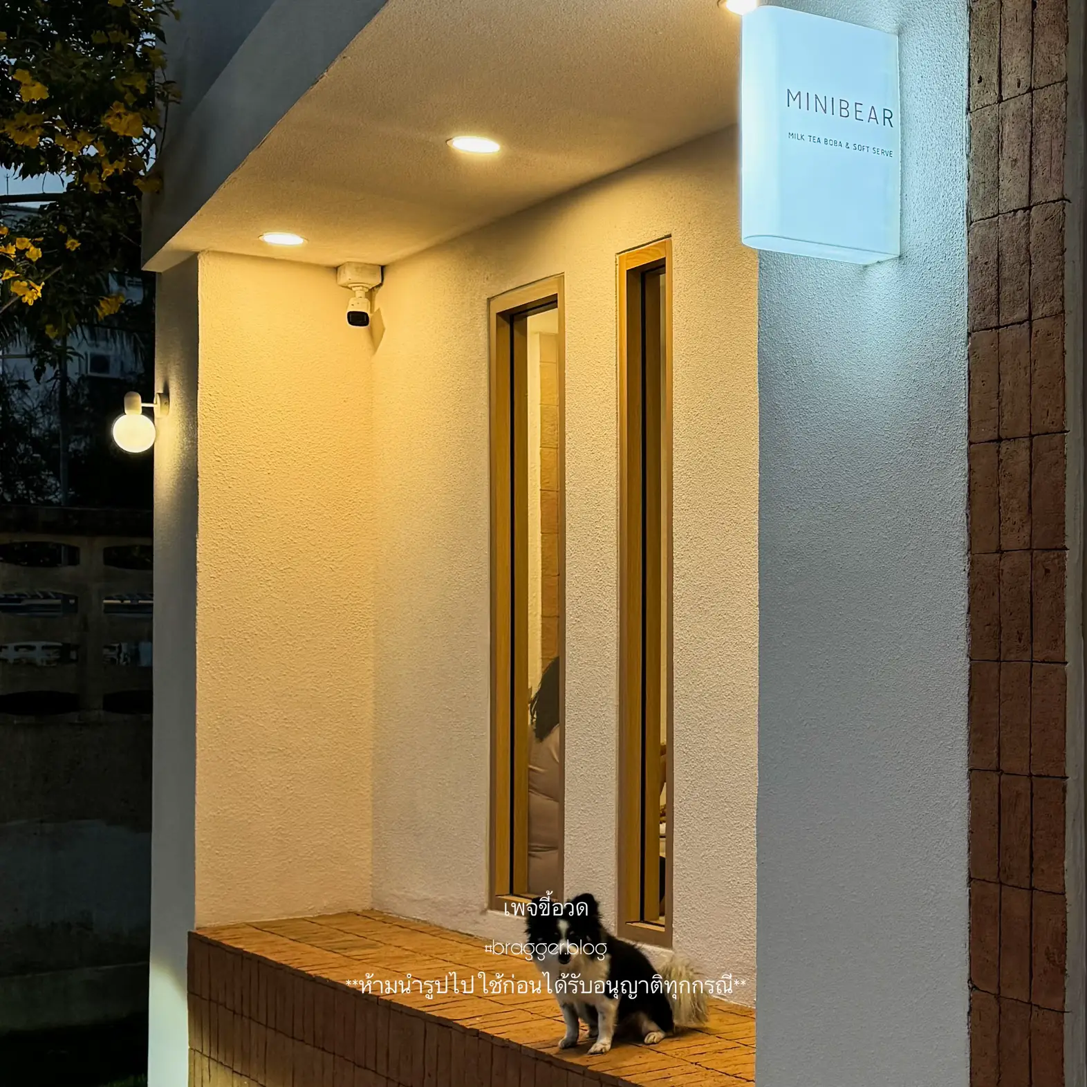 แฟรนไชส์ชานม Mini Bear - การค้นหาใน Lemon8