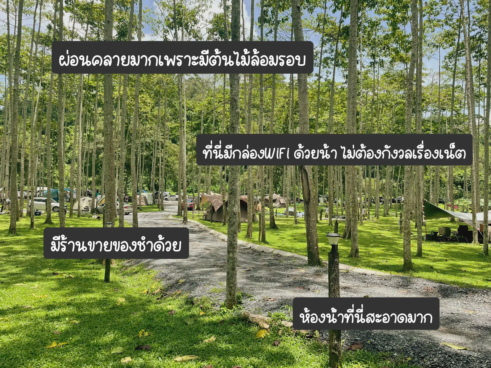 Na-wana ณ วนา | Gallery posted by Panchanok | Lemon8