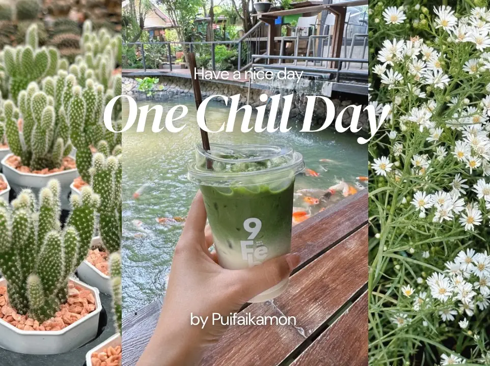 One Chill Day 🌵🌷 to Cafe, Buy a Tree, Make Merit, Nonthaburi | Gallery posted by Puifaikamon ...