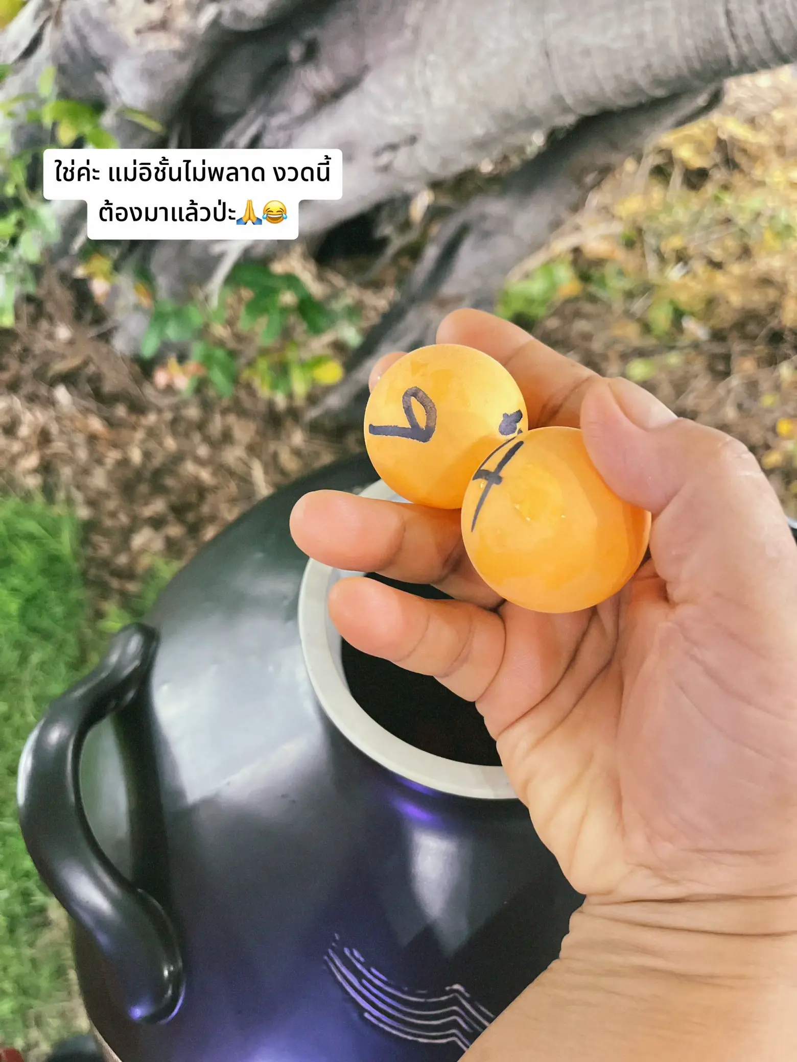 Niwa Cafe By รังนกแลนด์ สาขา8 | แกลเลอรีที่โพสต์โดย Takthanya | Lemon8