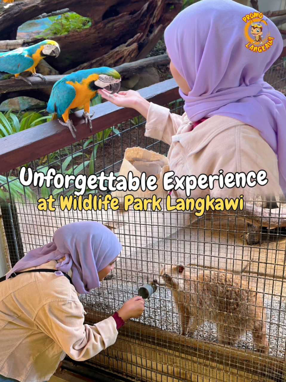 Unforgettable Experience at Wildlife Park Langkawi | Video ...
