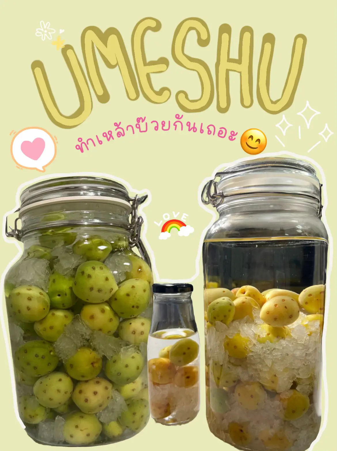 20 ไอเดียยอดนิยมเกี่ยวกับ Tokai Umeshu รีวิว ในปี 2024